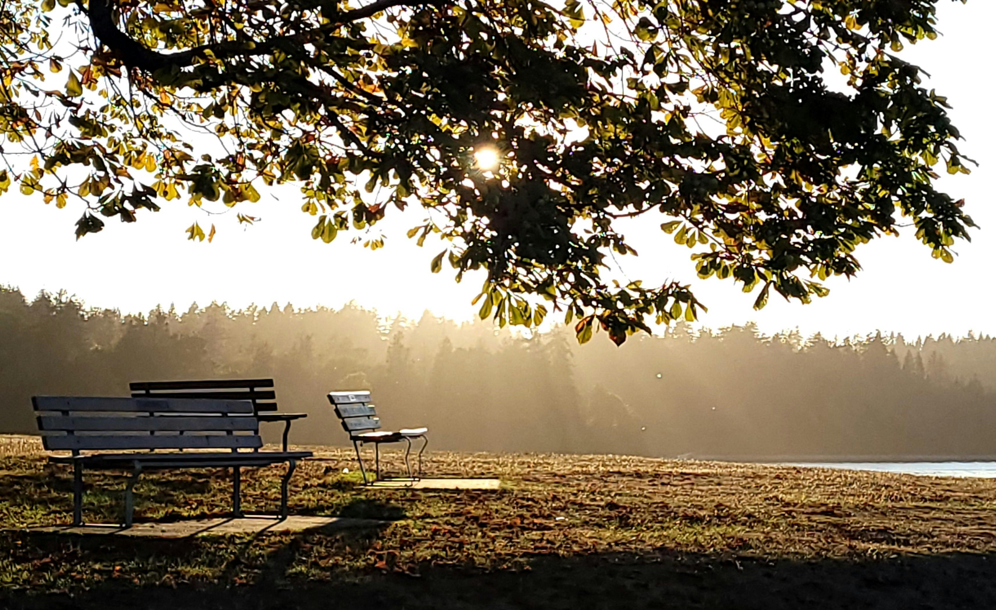 Jay Fan - Photography