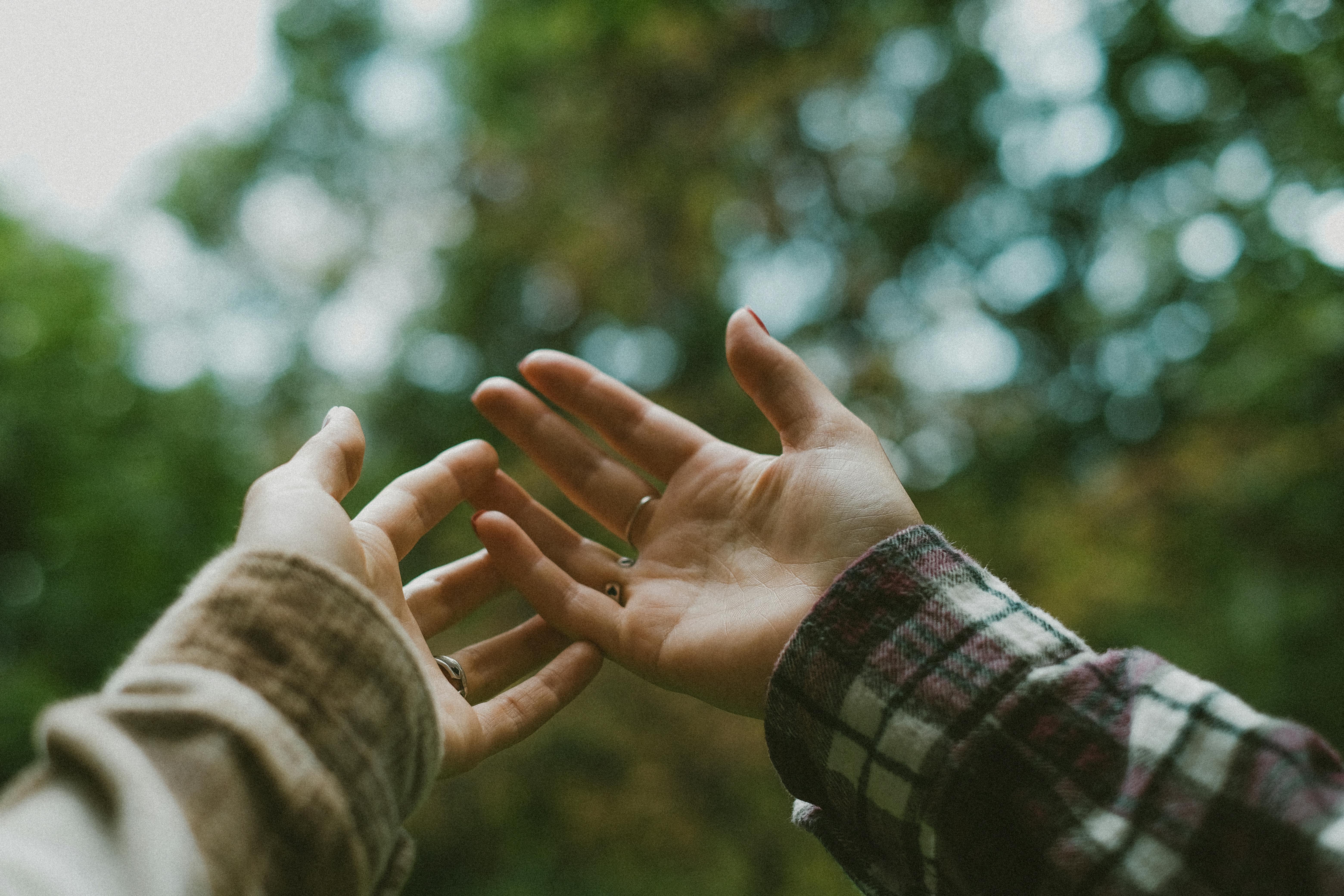 Two hands reaching out to each other in the woods · Free Stock Photo