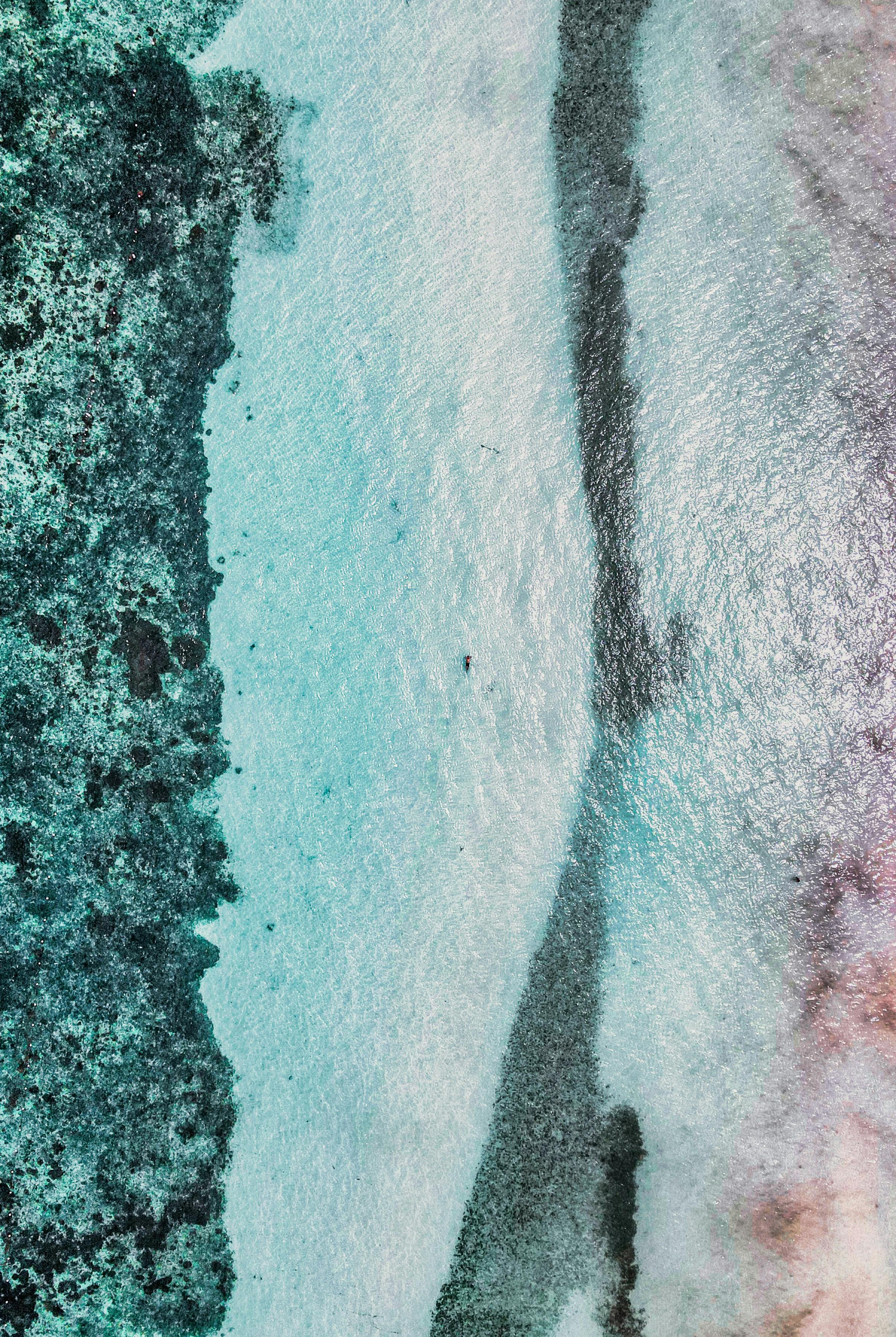 200.000+ melhores imagens de Profile Picture Transparent Background ...