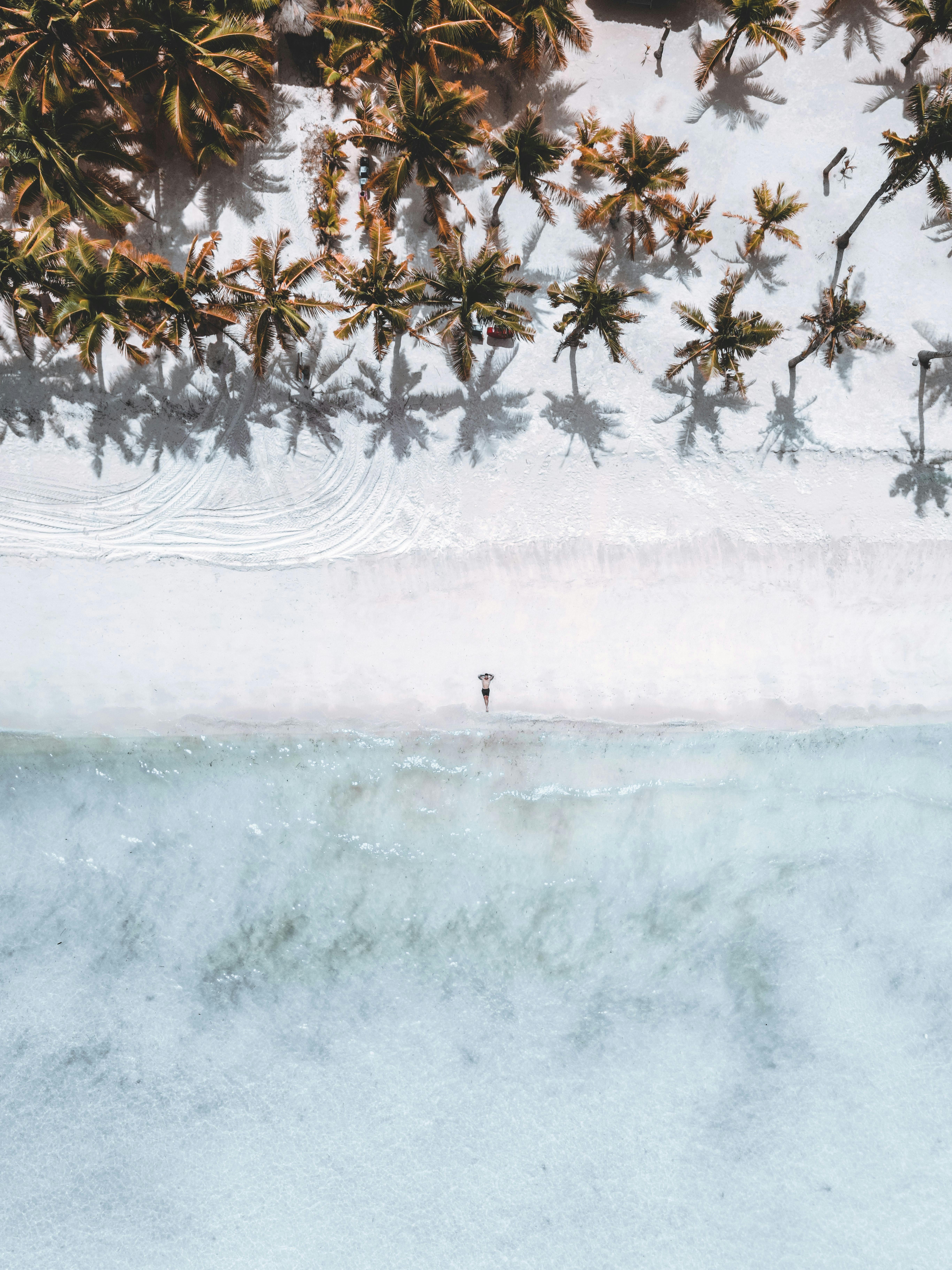 Distant Figure Photos, Download The BEST Free Distant Figure Stock ...