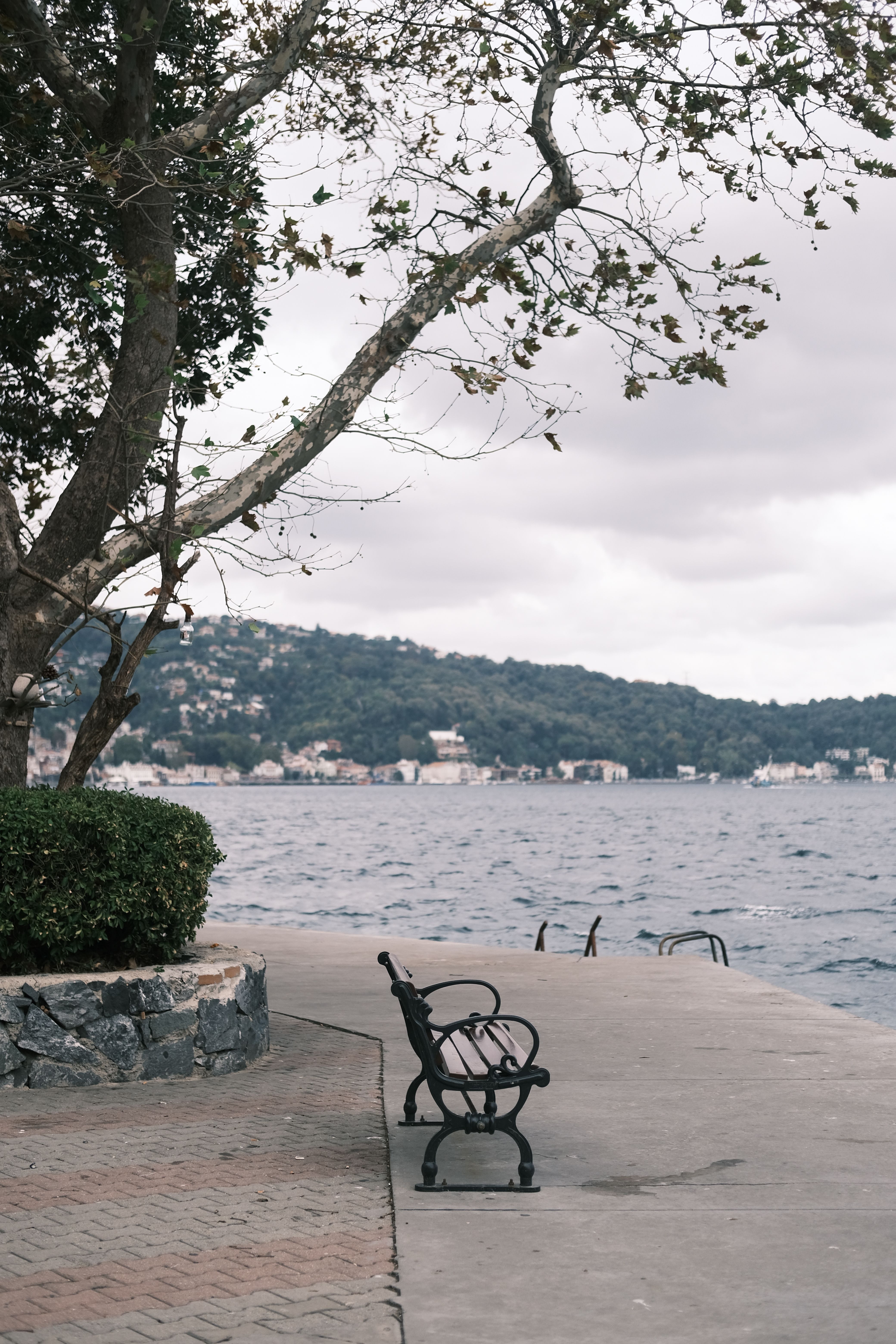A Bench on the Seashore · Free Stock Photo