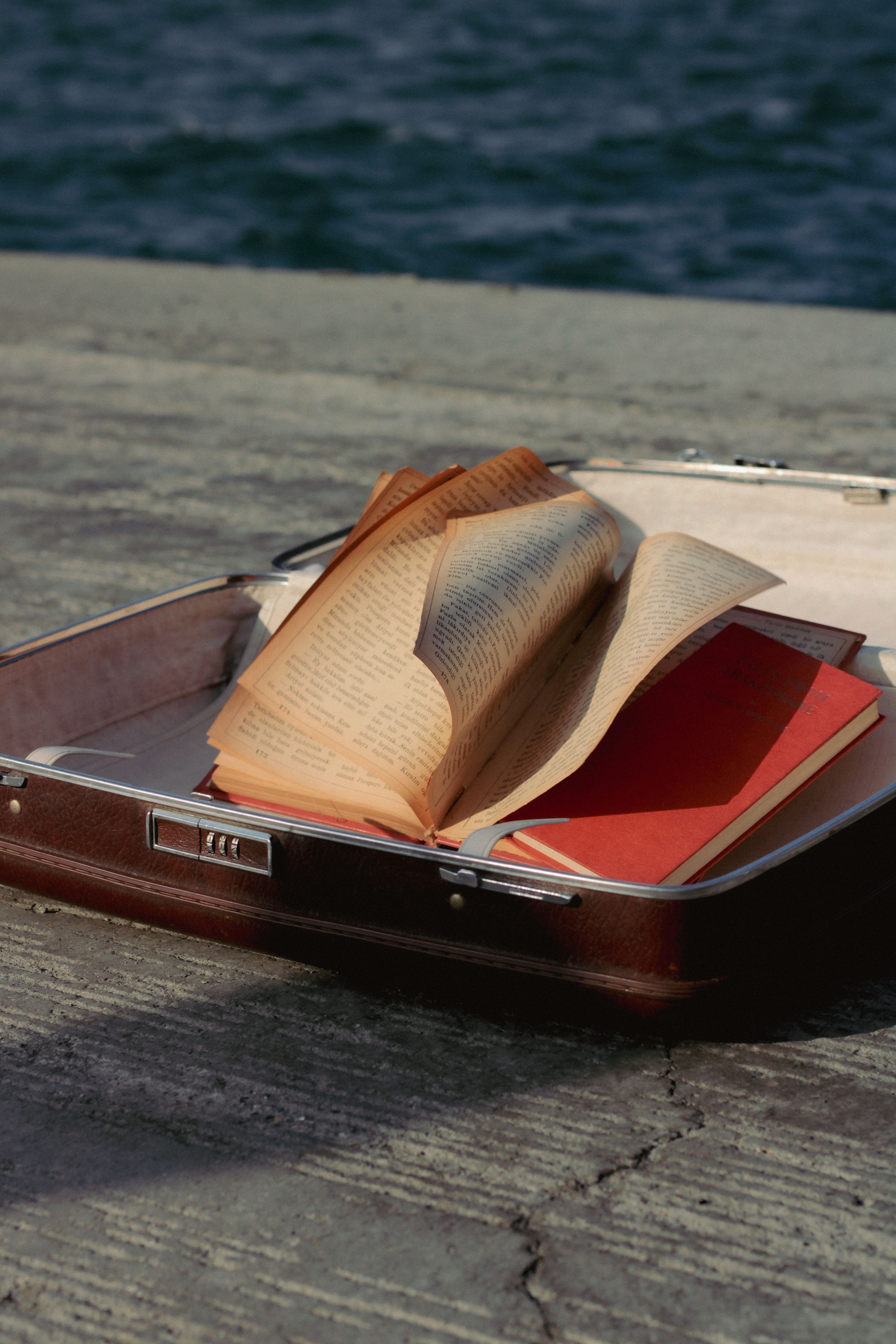 Book in a Suitcase on a Pier · Free Stock Photo