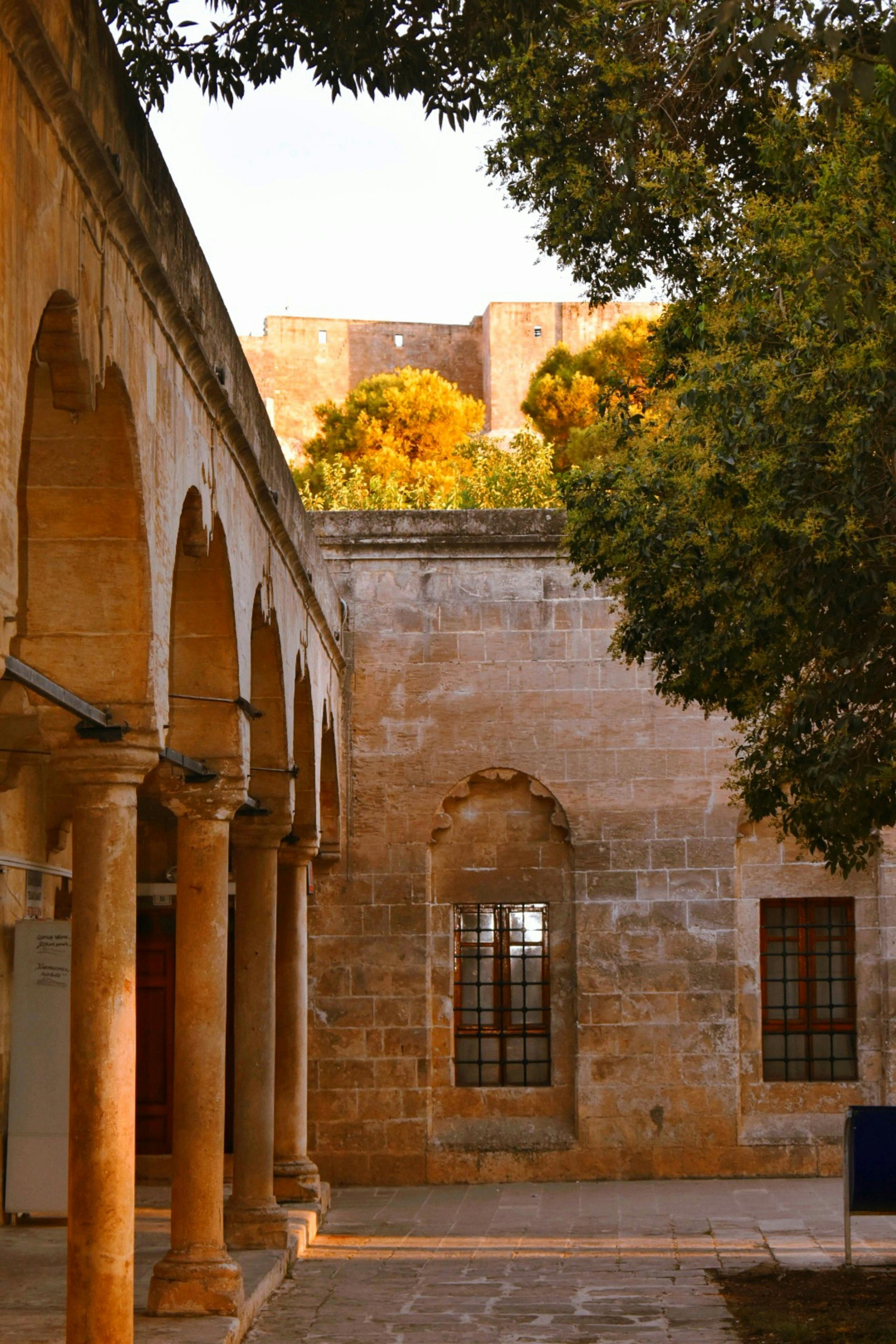 Courtyard Photos, Download The BEST Free Courtyard Stock Photos & HD Images