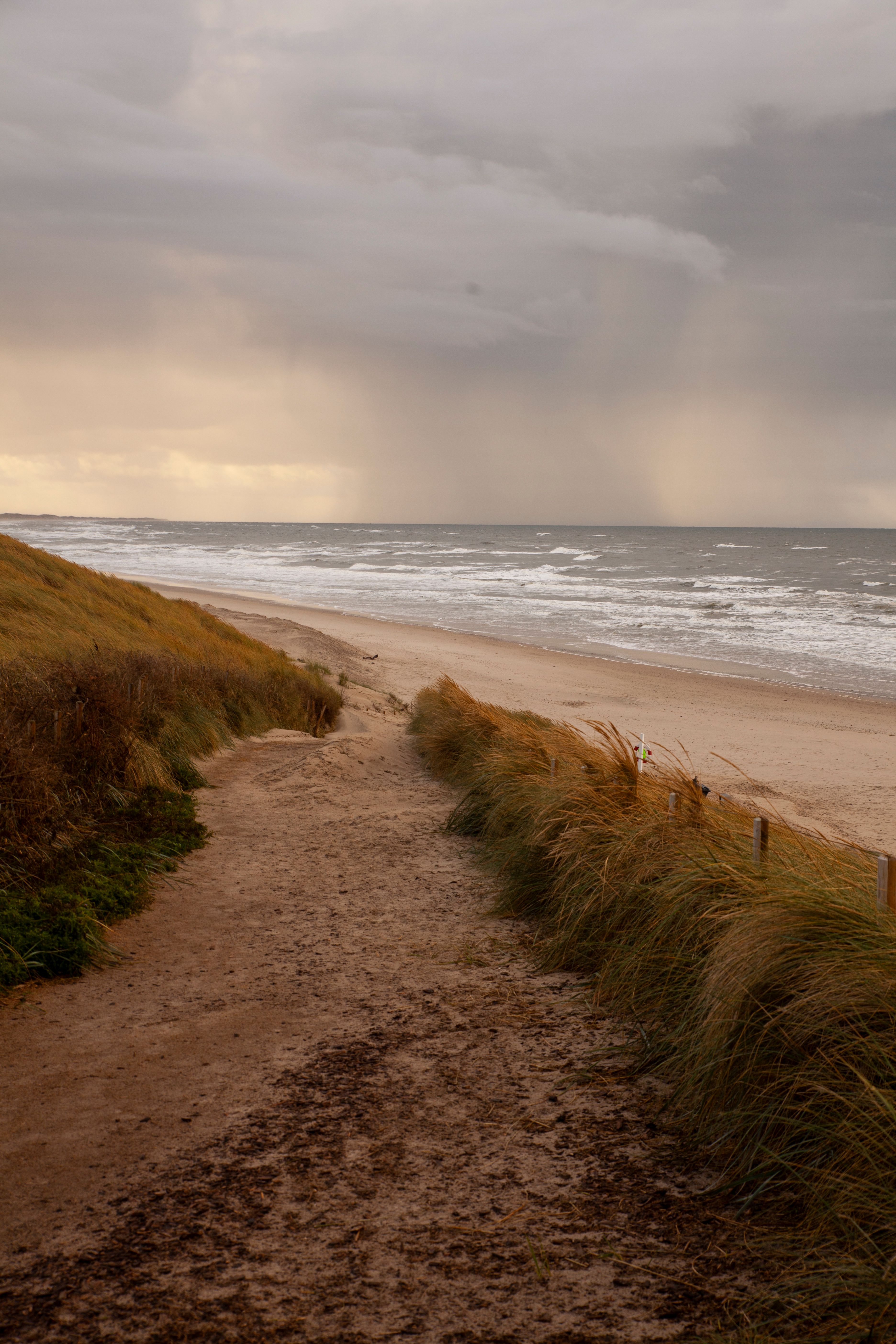 Footpath towards Beach · Free Stock Photo