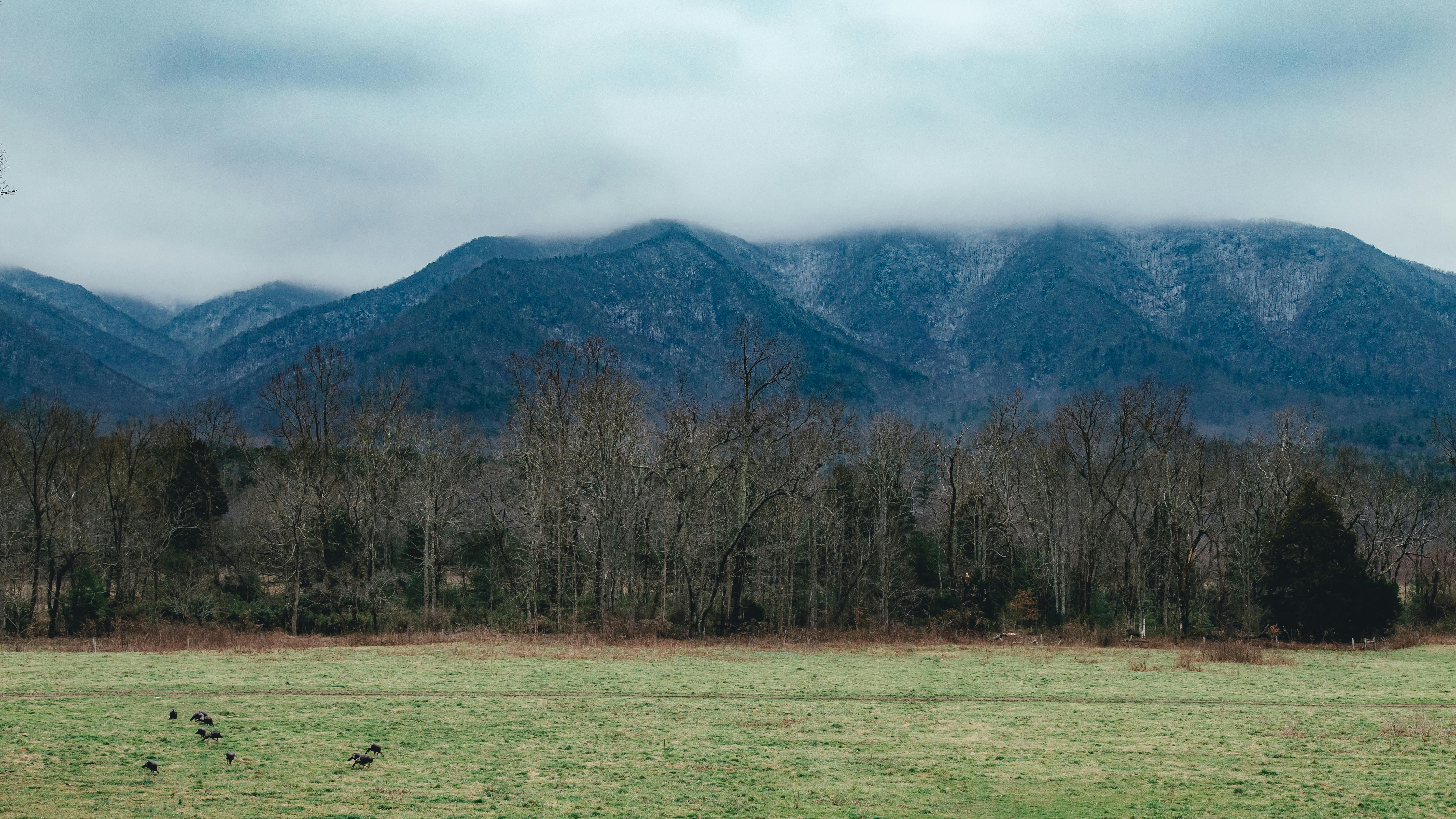 Yuting Gao · Photography