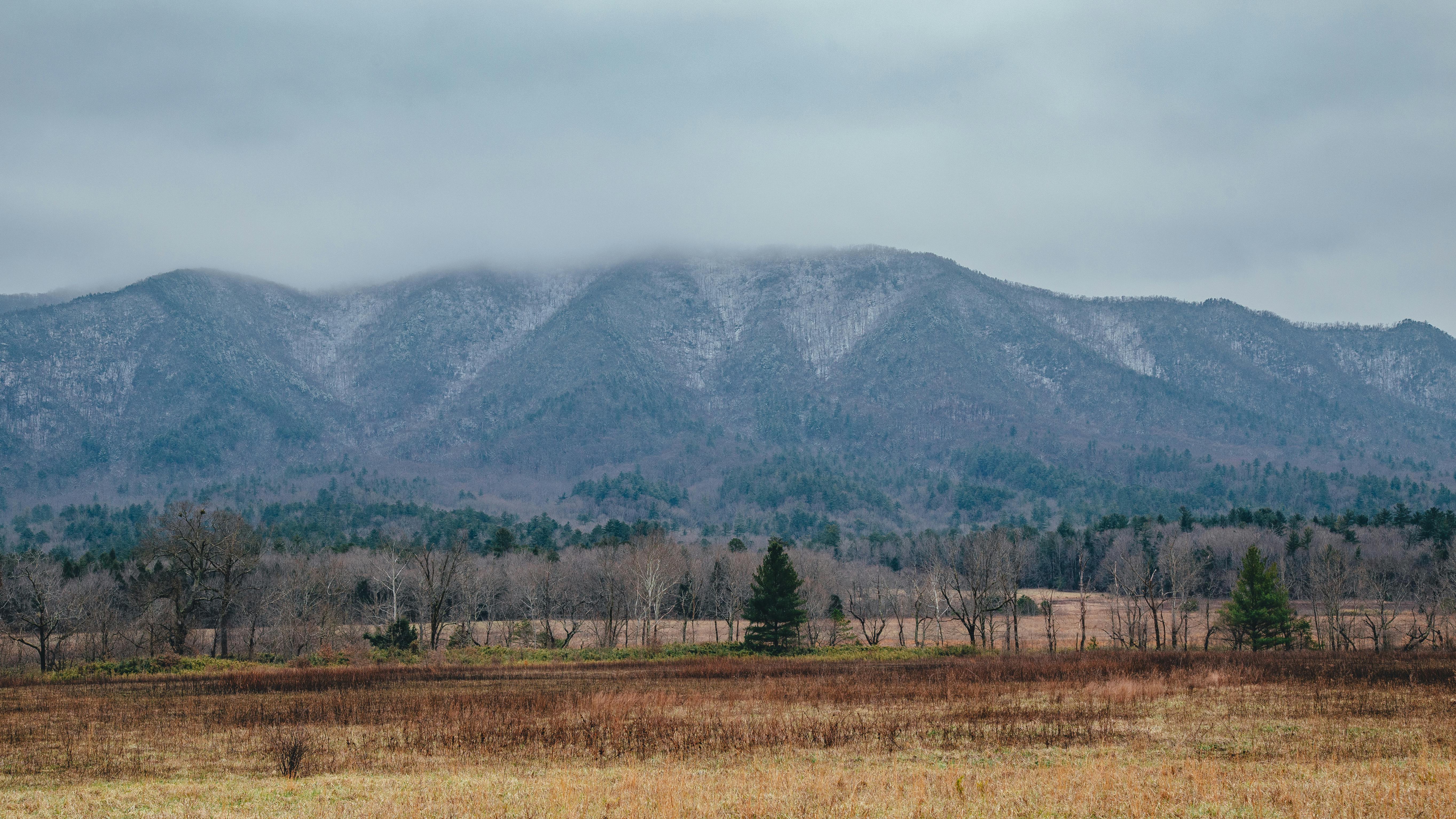 Yuting Gao · Photography