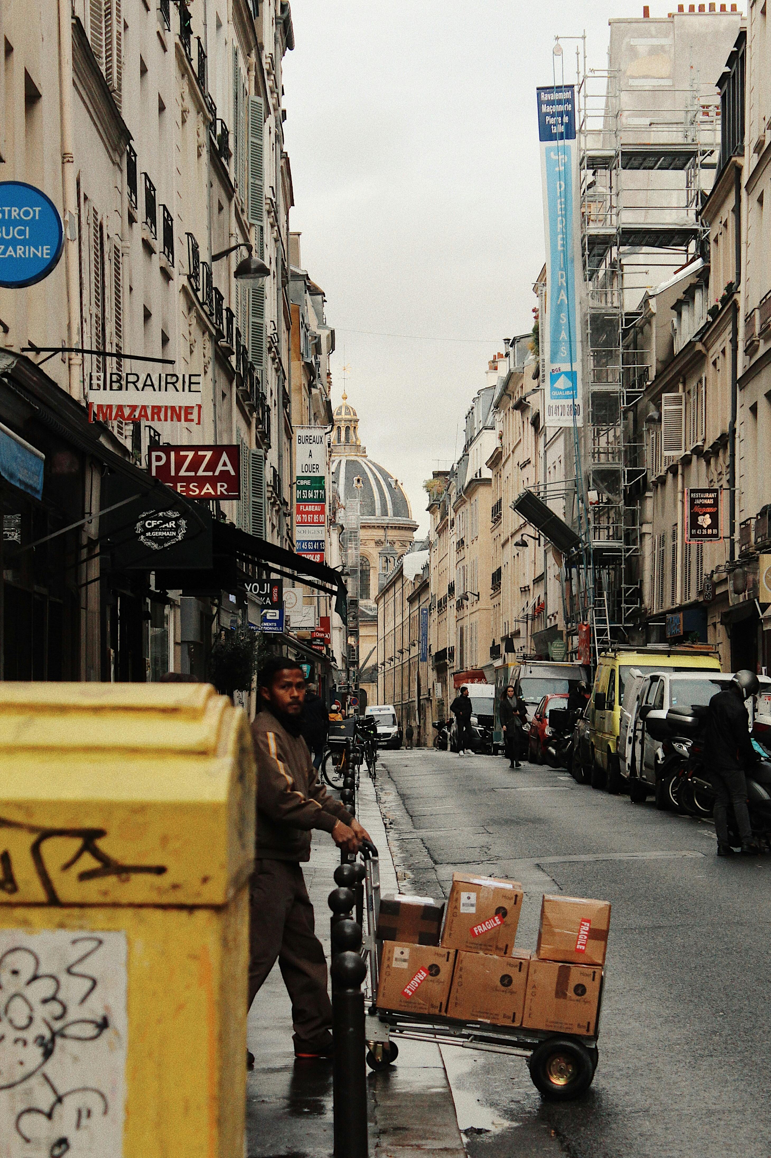 How to Save a Dying Turtle Plant