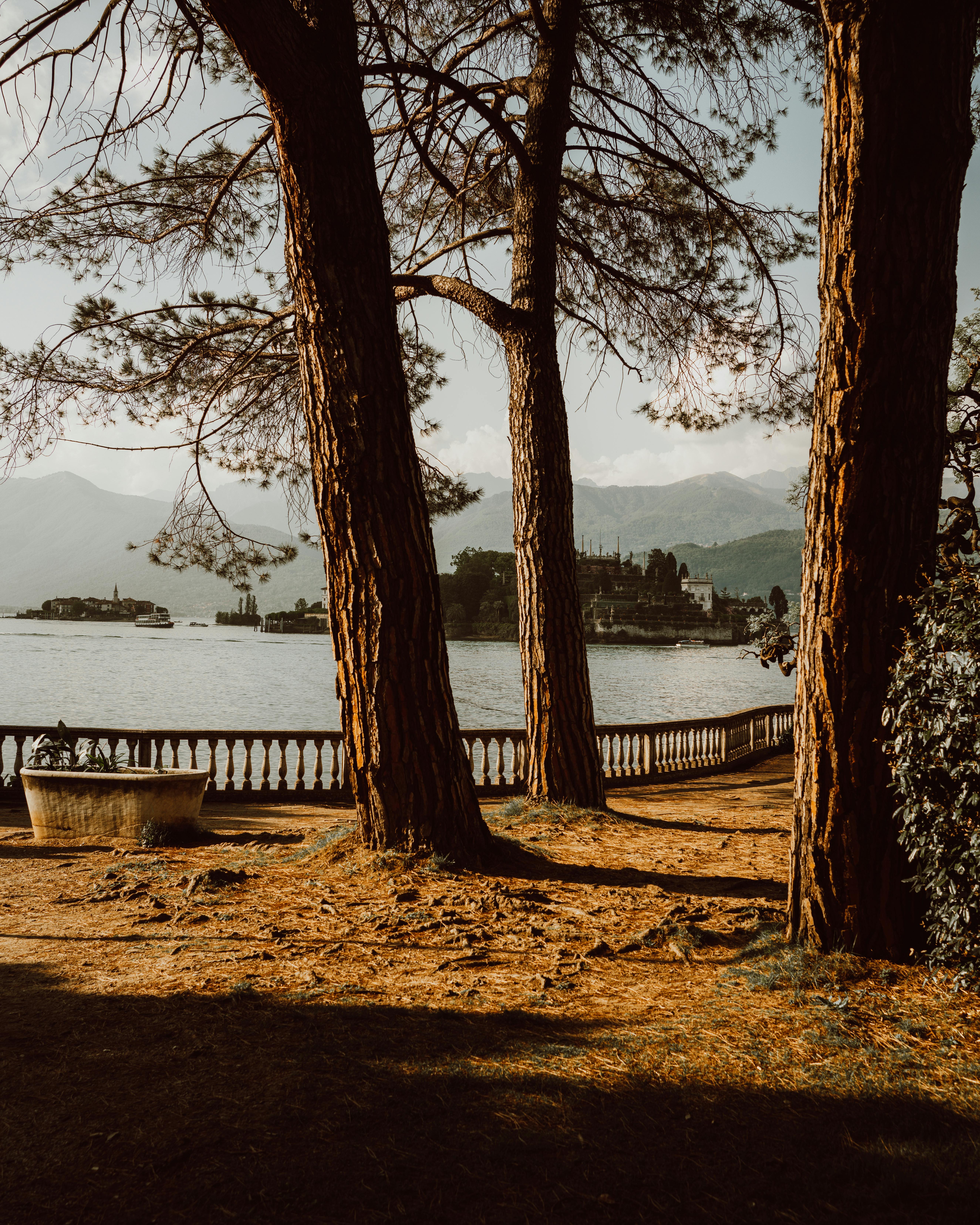 Trees and Lake Como in Italy · Free Stock Photo