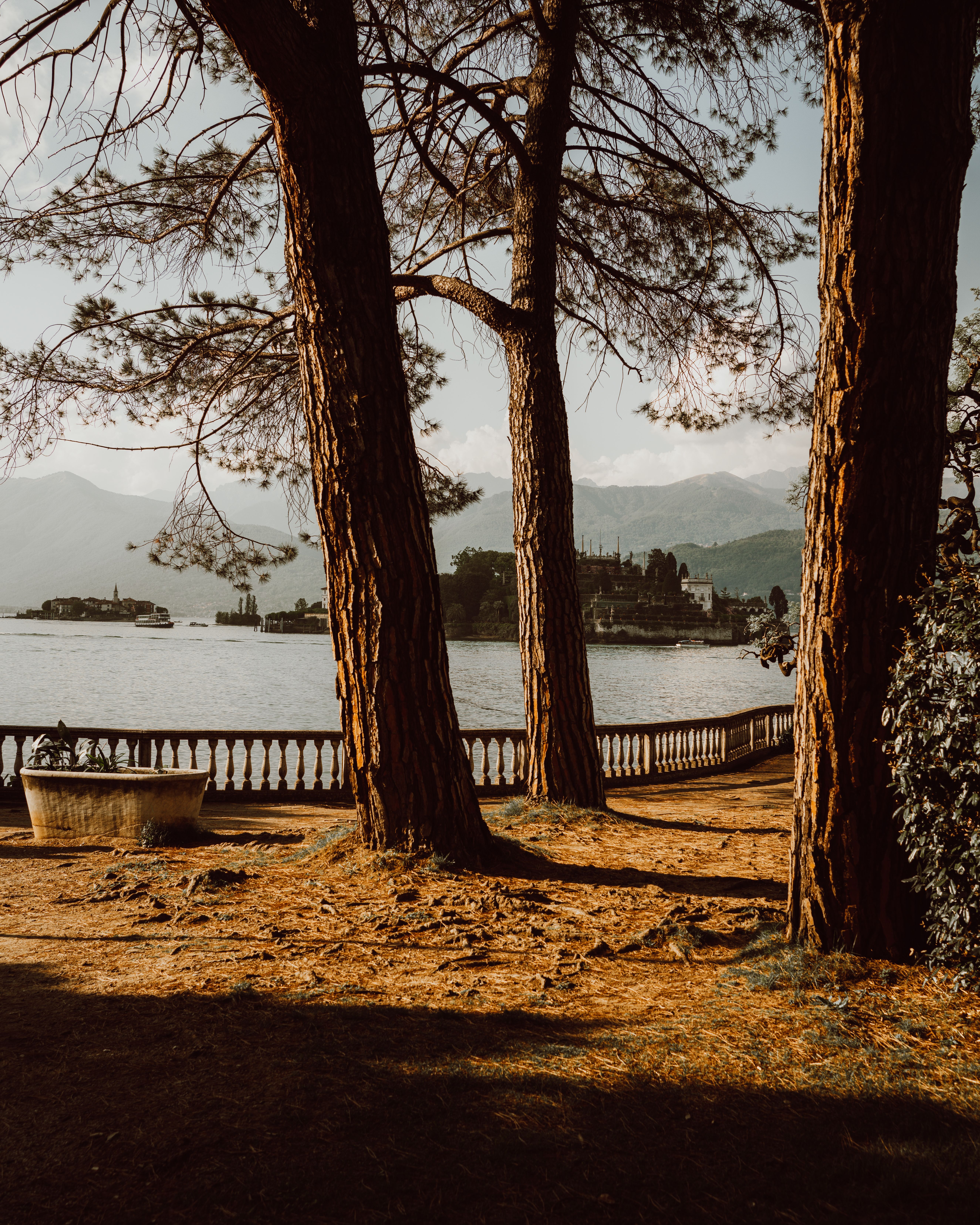 Trees and Lake Como in Italy · Free Stock Photo
