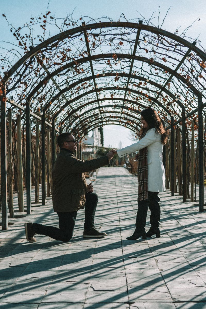 Couple Proposing Photos, Download The BEST Free Couple Proposing Stock ...