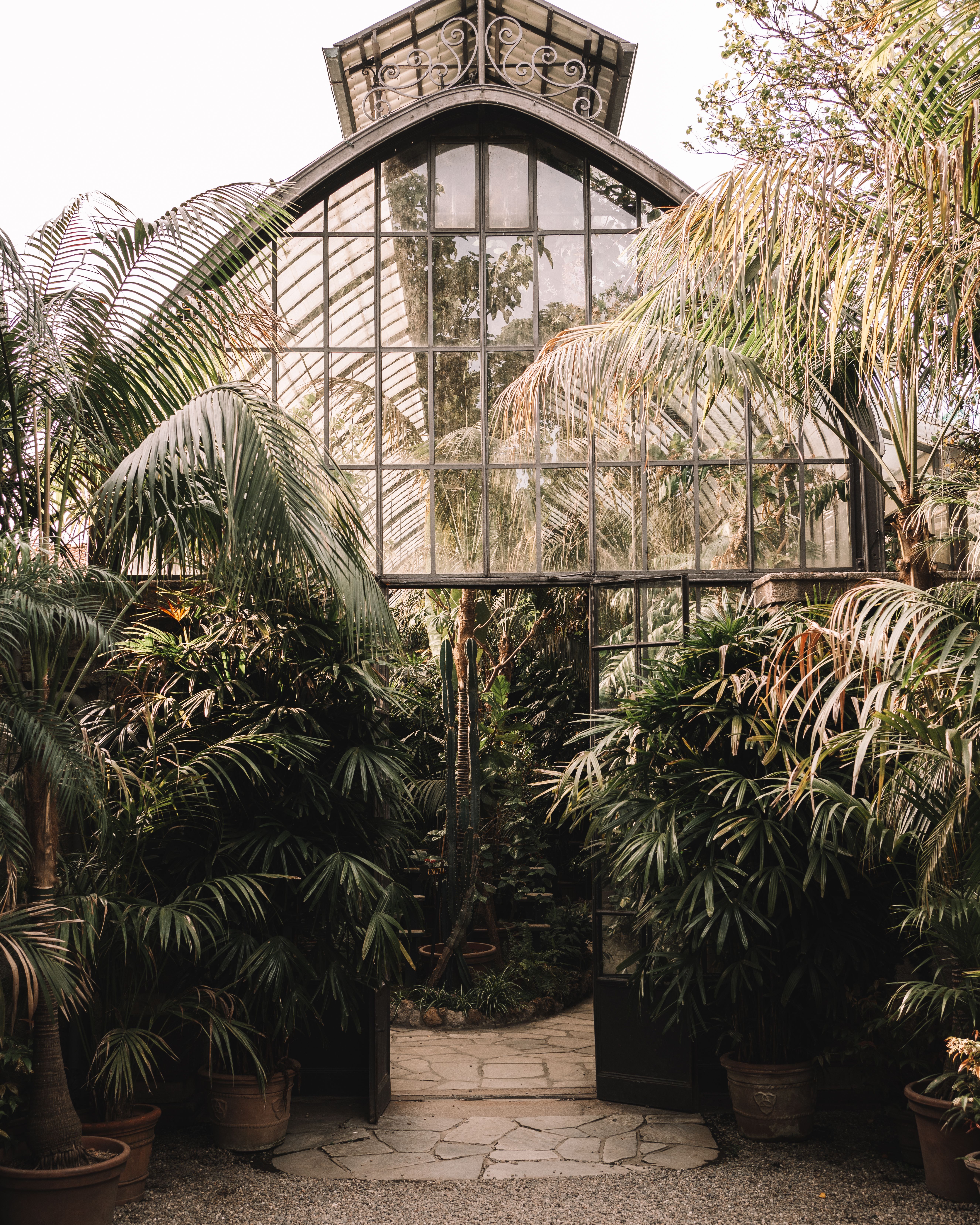 Trees in Greenhouse Entrance · Free Stock Photo