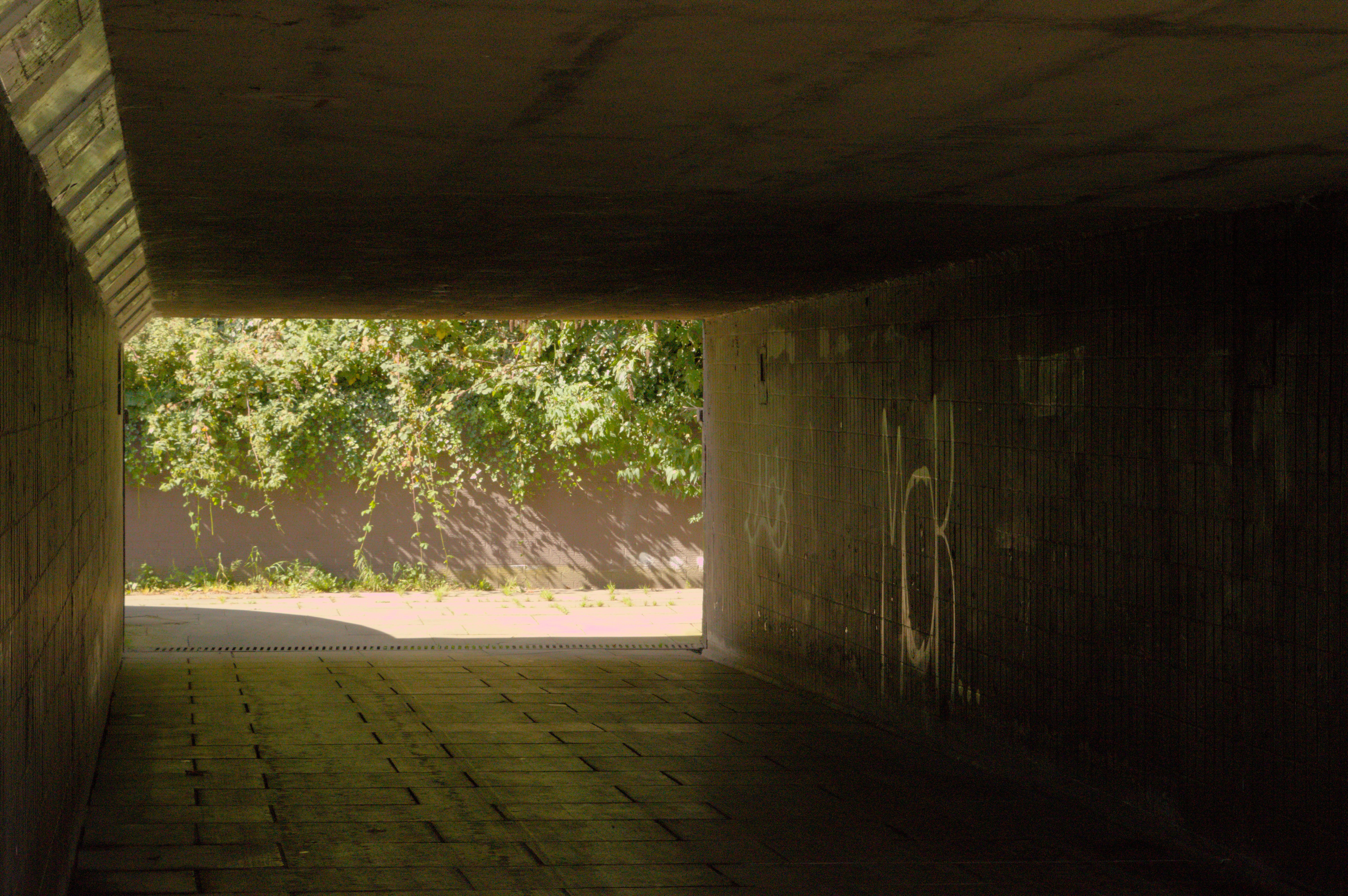 Tunnel Walls in Shadow · Free Stock Photo