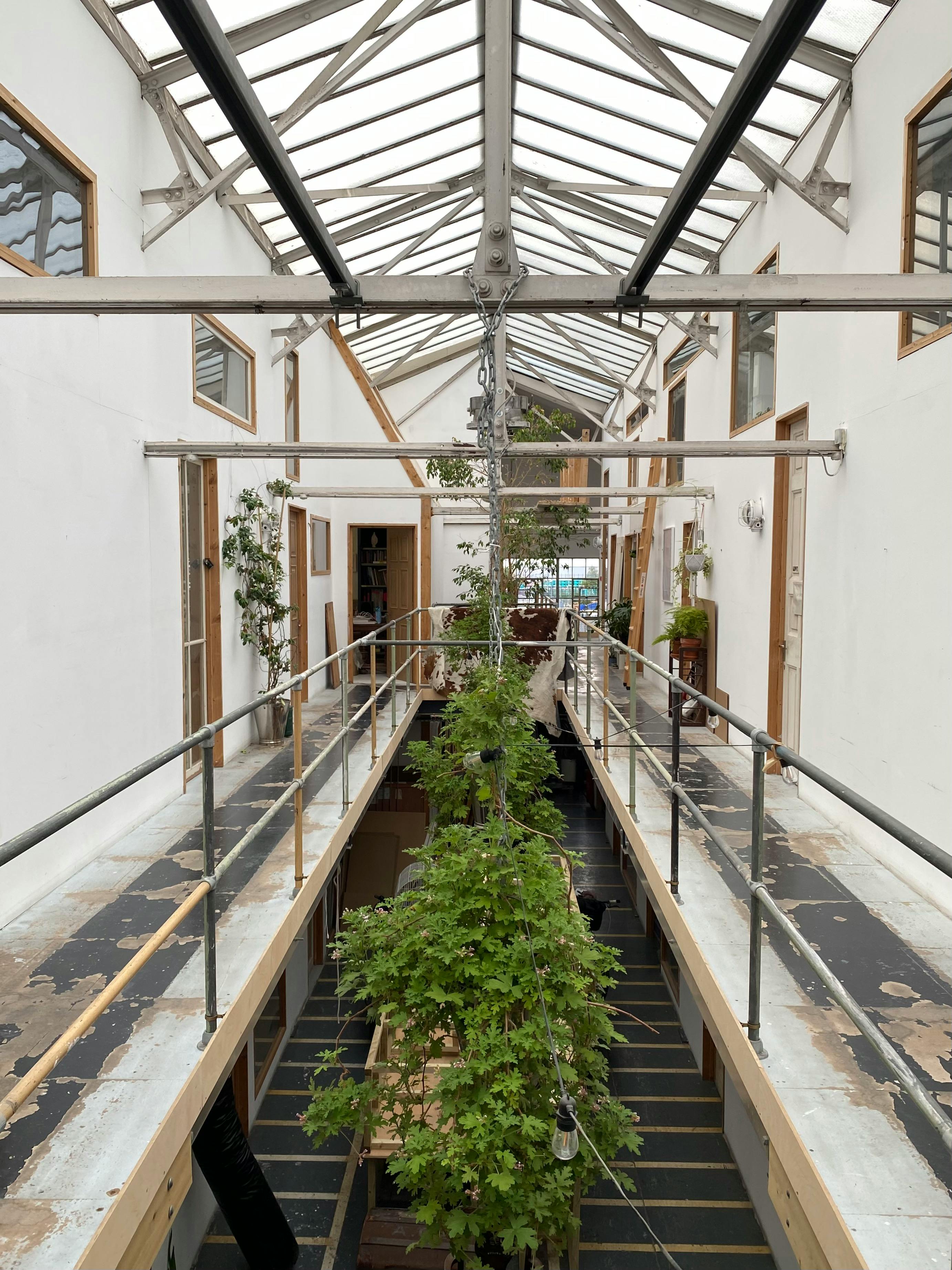 Infinity Hall Photos, Download The BEST Free Infinity Hall Stock Photos ...