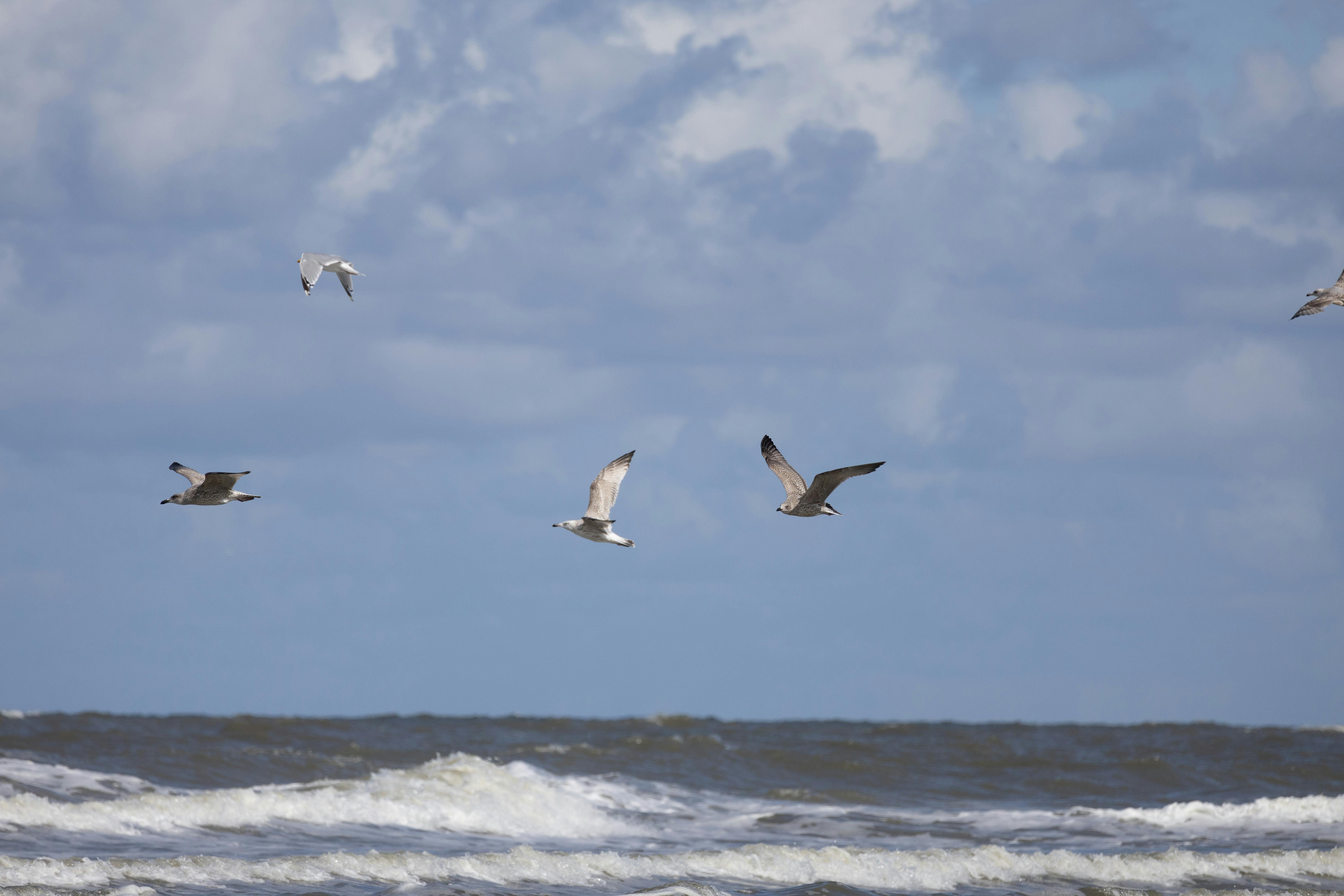 Photograpy Photos, Download The BEST Free Photograpy Stock Photos & HD ...