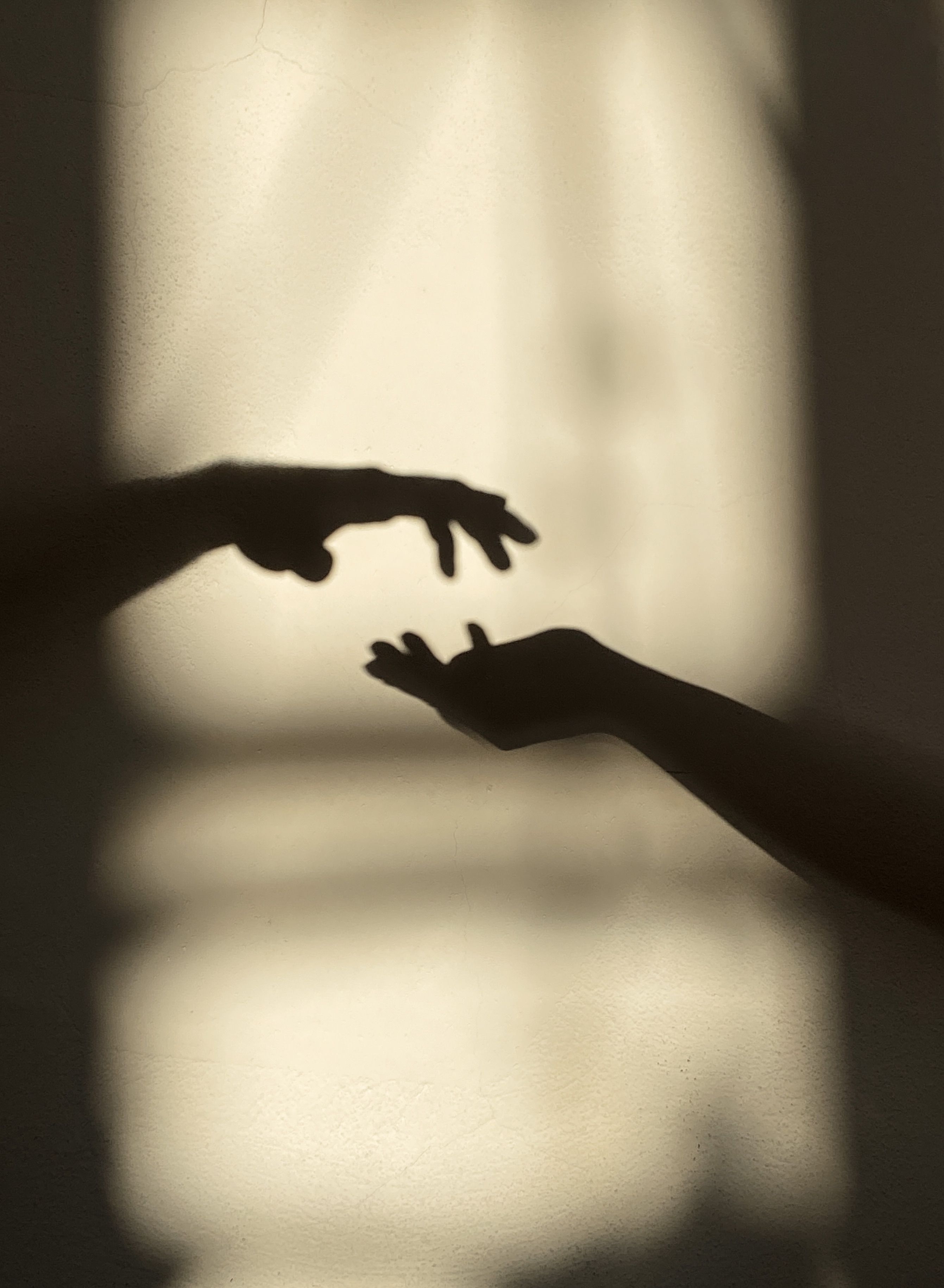 Shadow of Two People Almost Touching Hands · Free Stock Photo