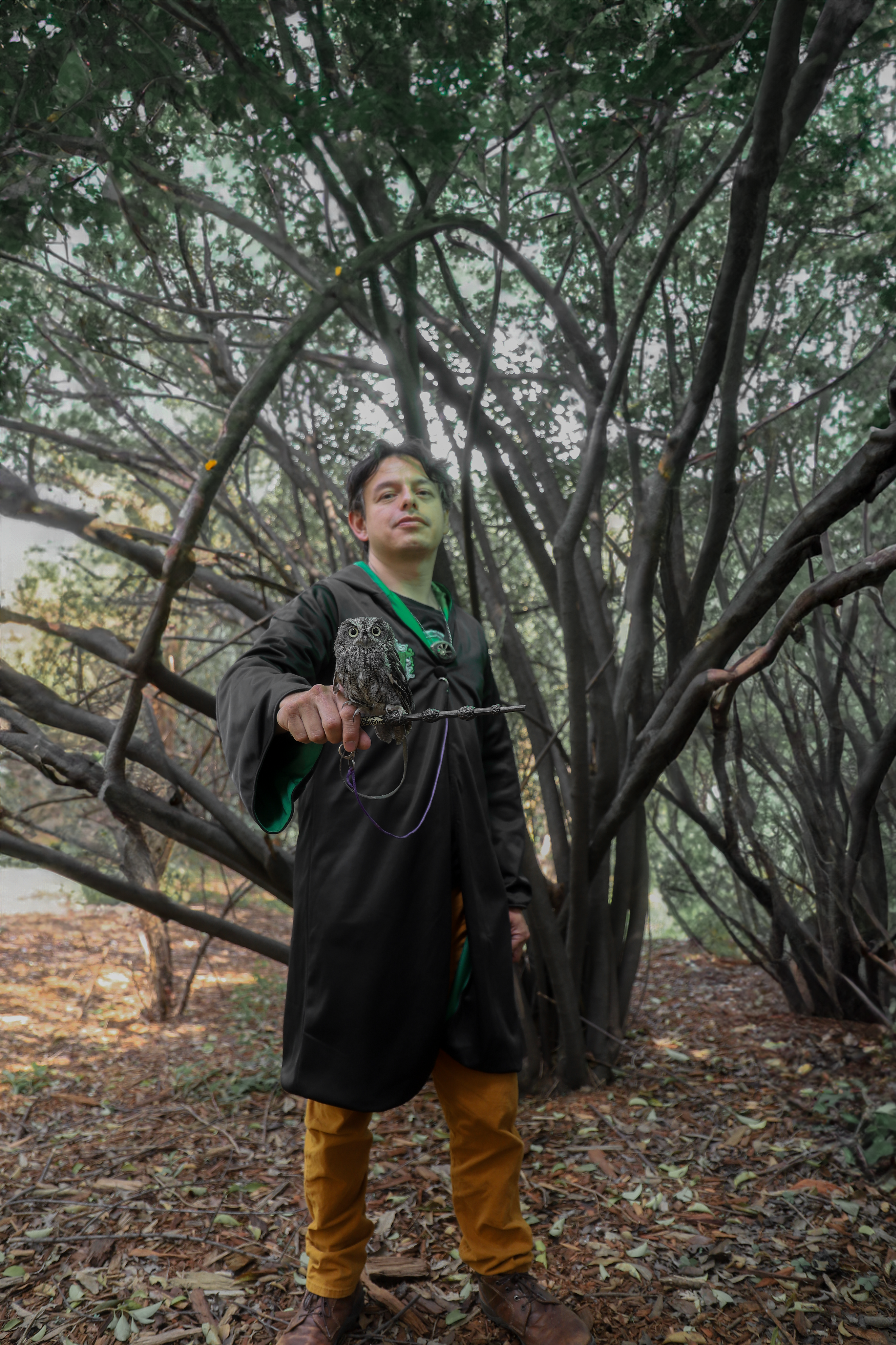 Man in Cloak Standing with Owl · Free Stock Photo