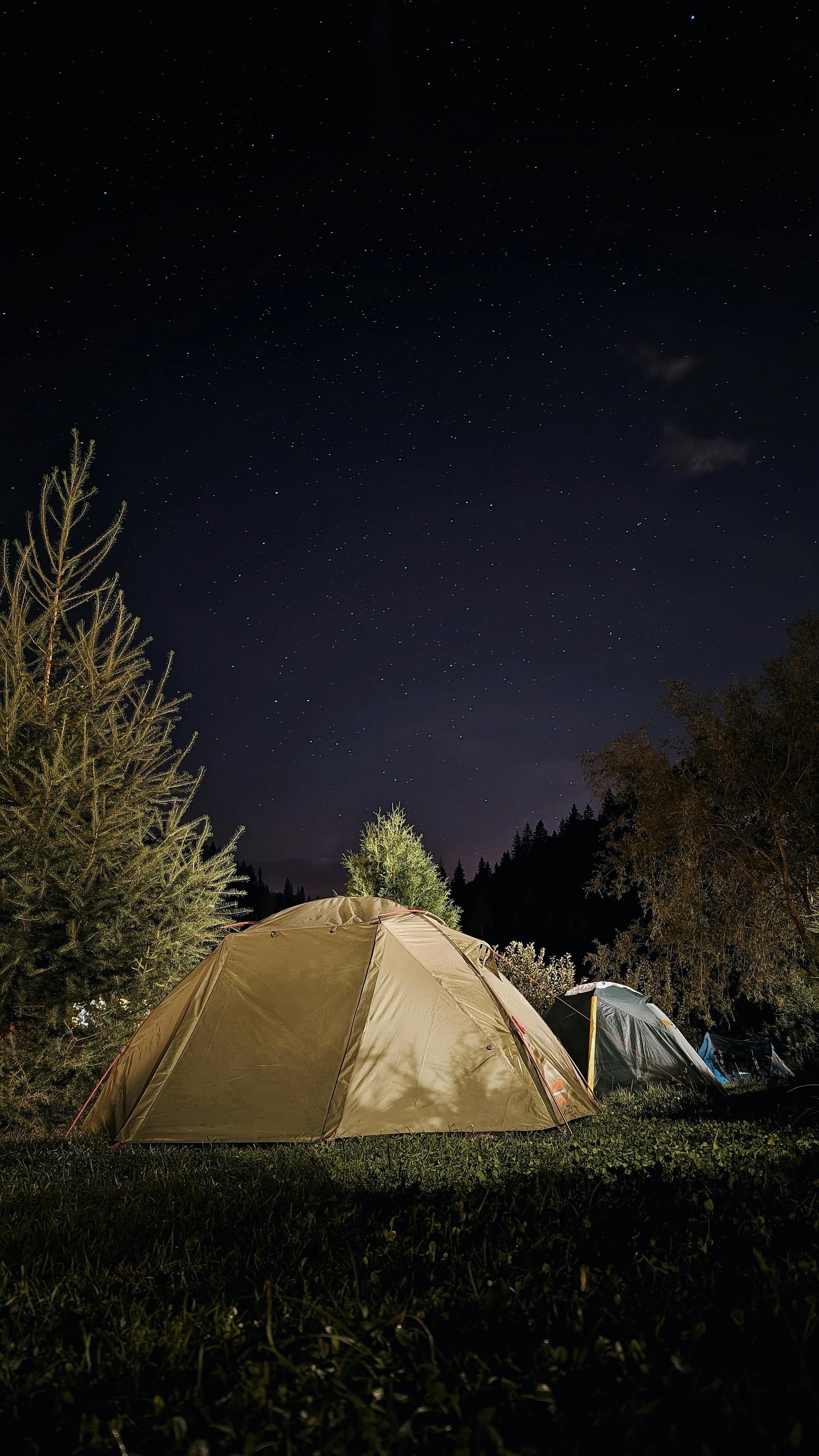 Photo of Tent at Near Trees · Free Stock Photo