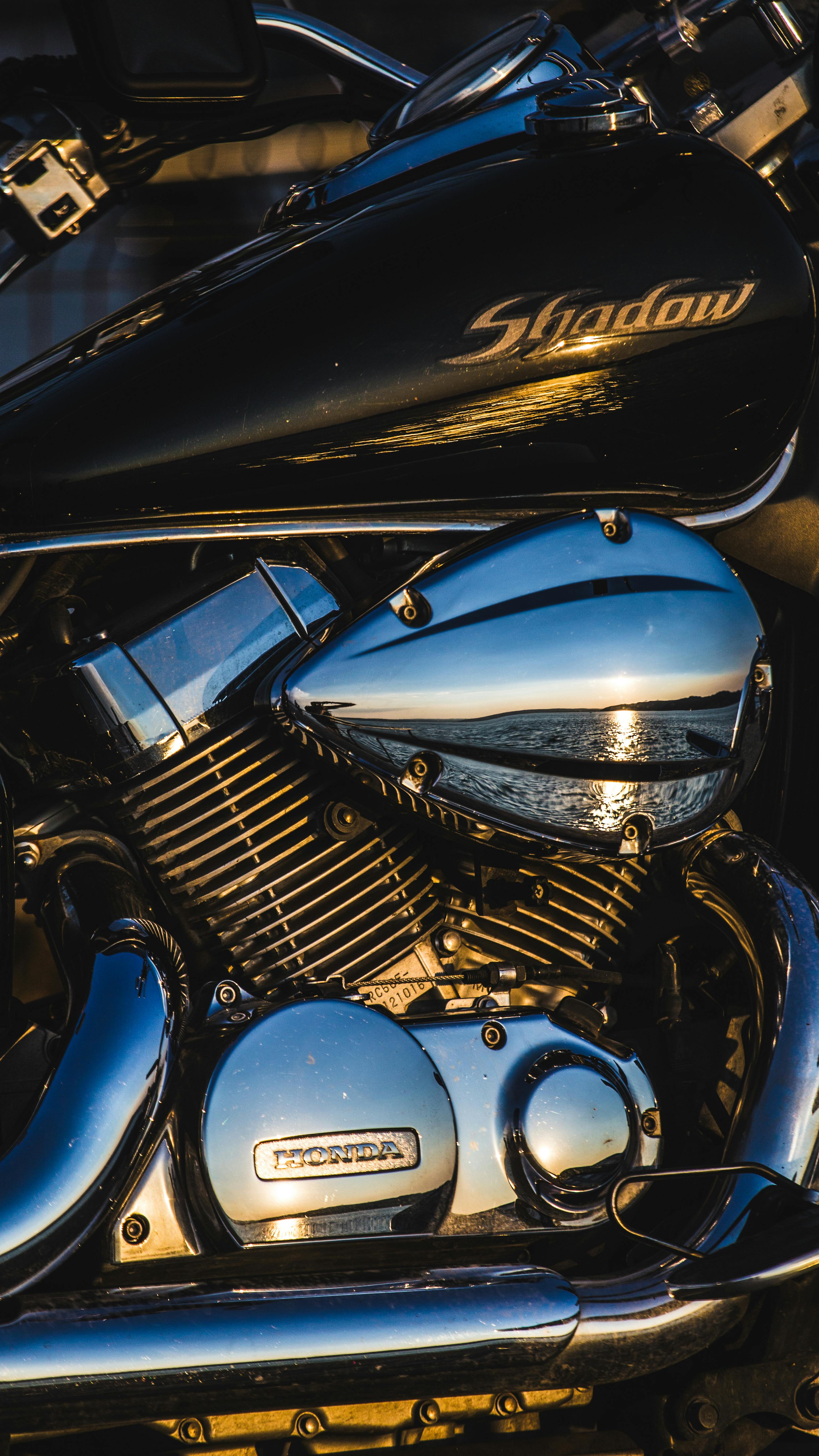 Harley Davidson Cruiser Motorbike · Free Stock Photo