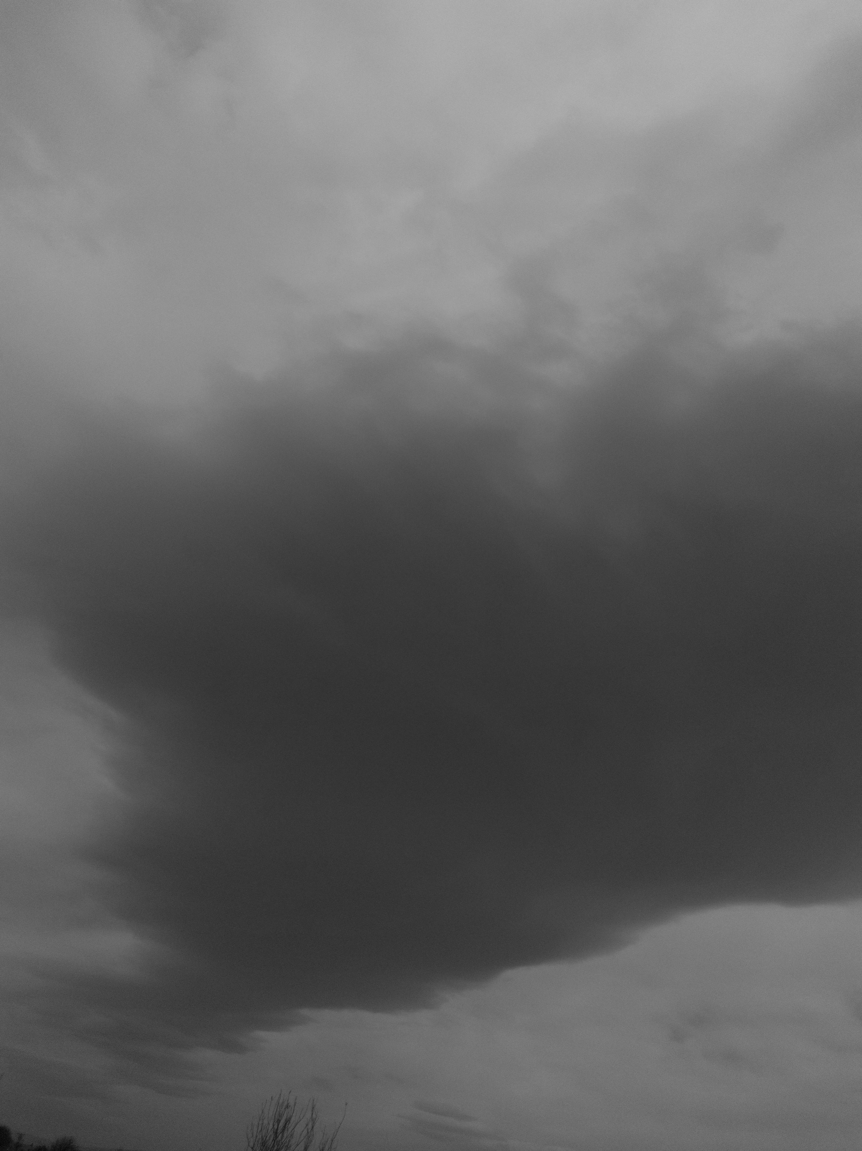 Best Bargon - Photographie