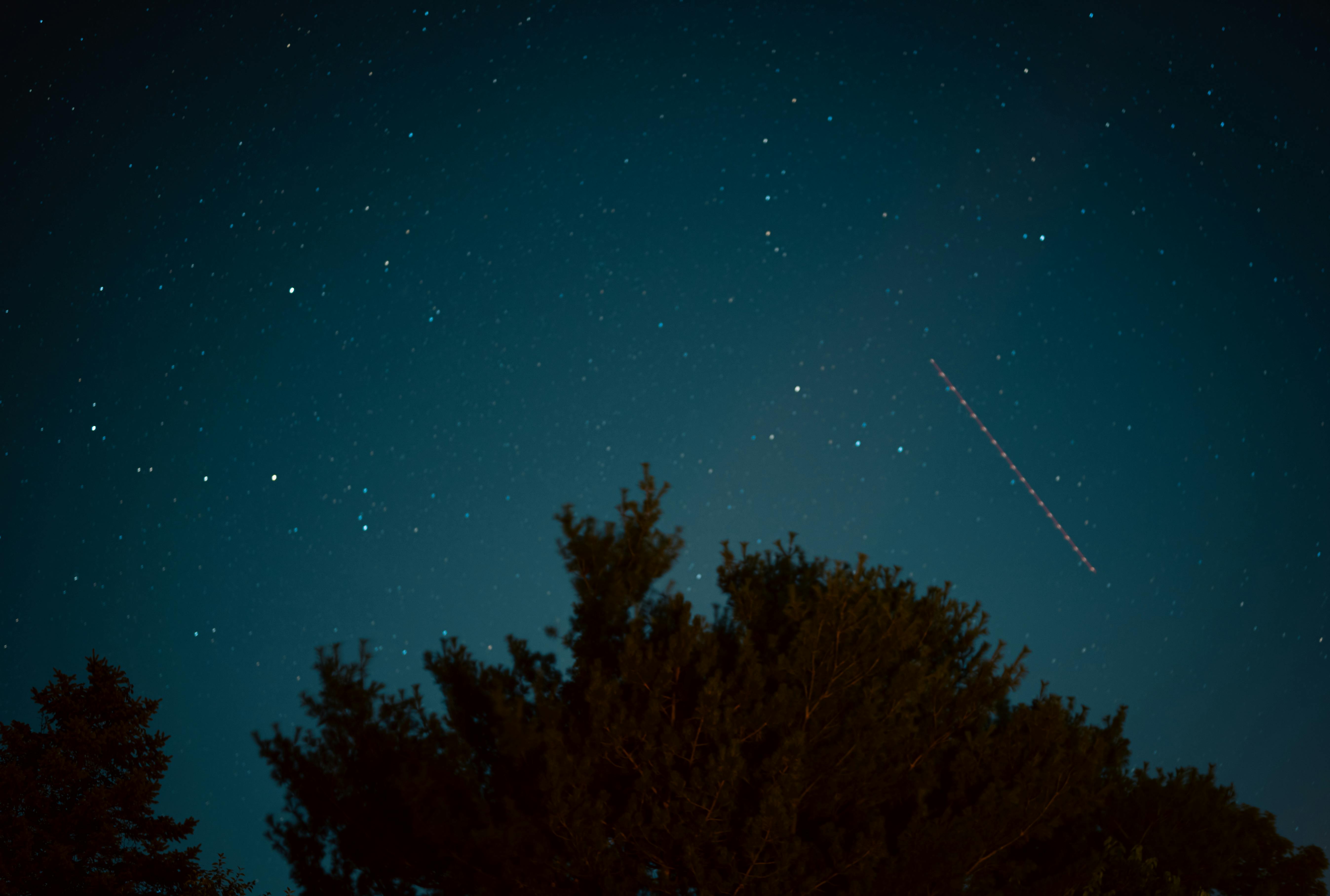 Stars in Night Sky · Free Stock Photo