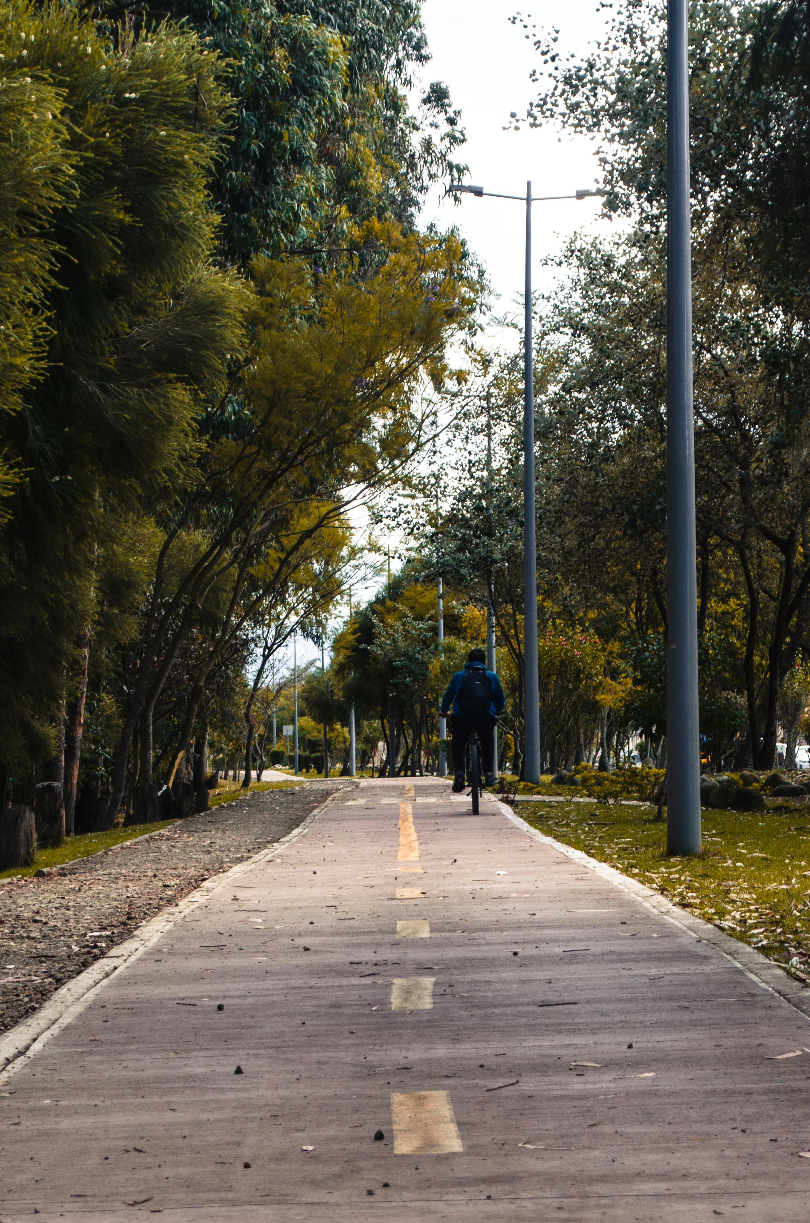 Man Riding on Bicycle Path · Free Stock Photo
