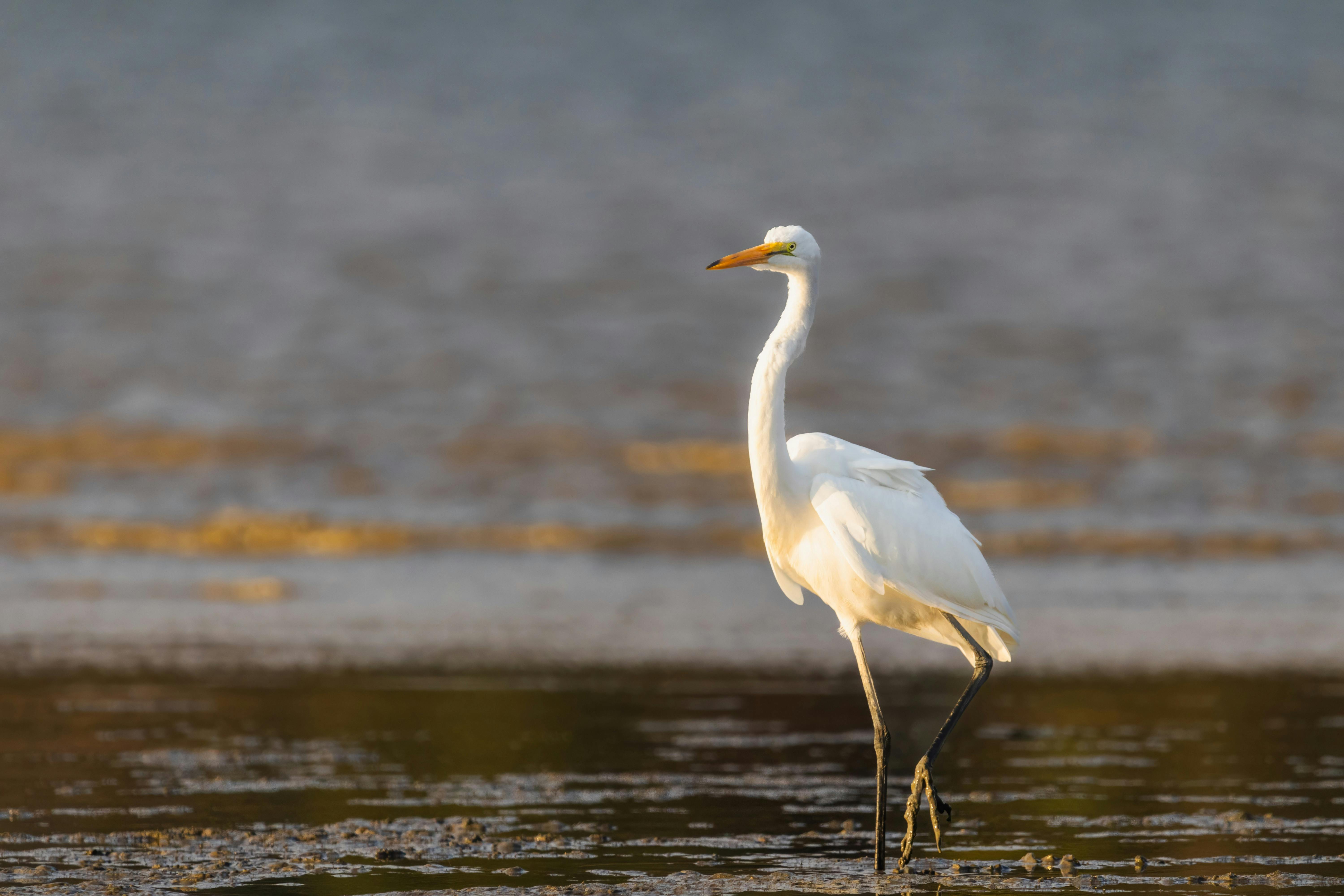 Greatings Photos, Download The BEST Free Greatings Stock Photos & HD Images