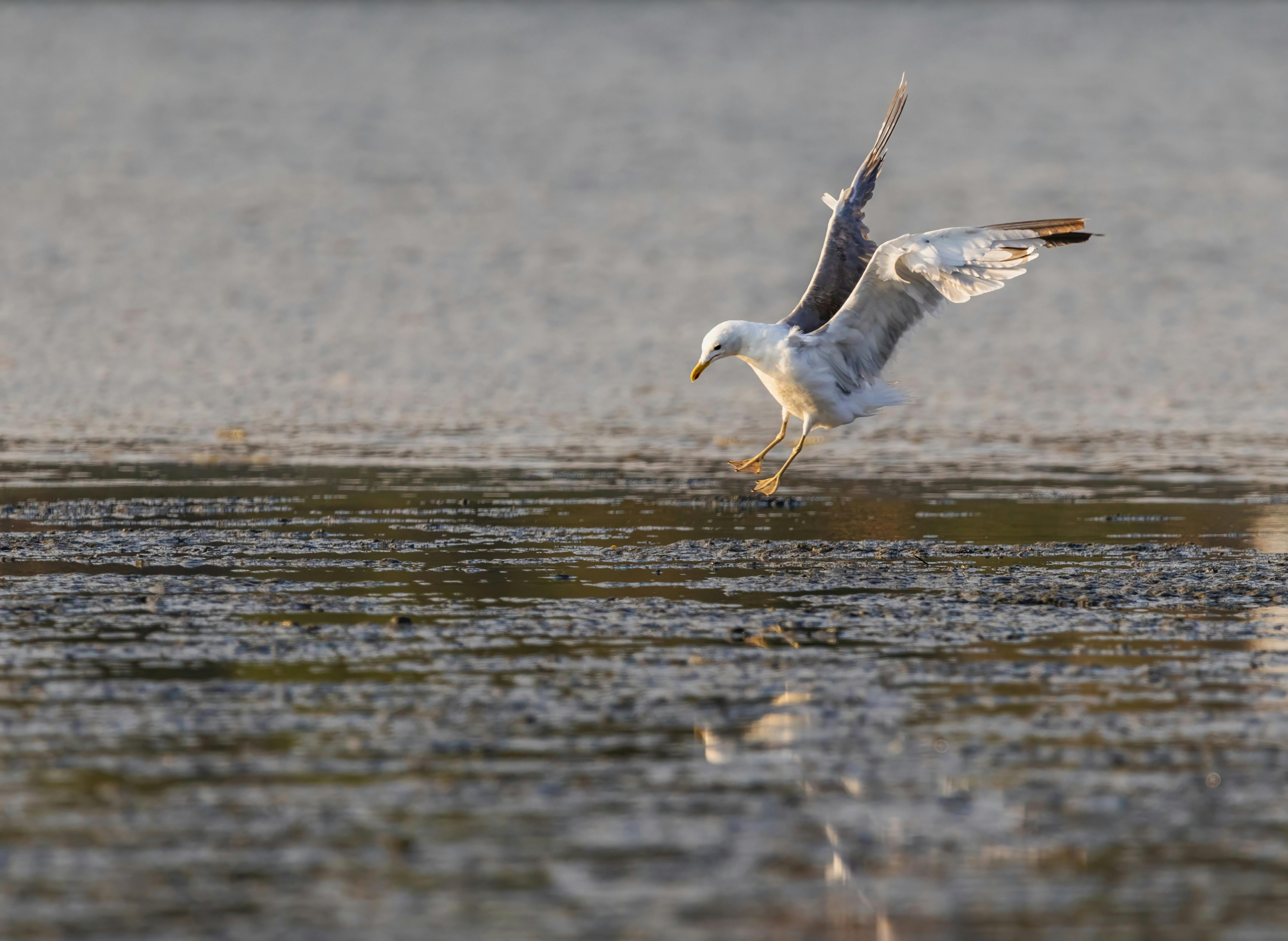 Boost Conversion With Landing Pages Photos, Download The BEST Free ...