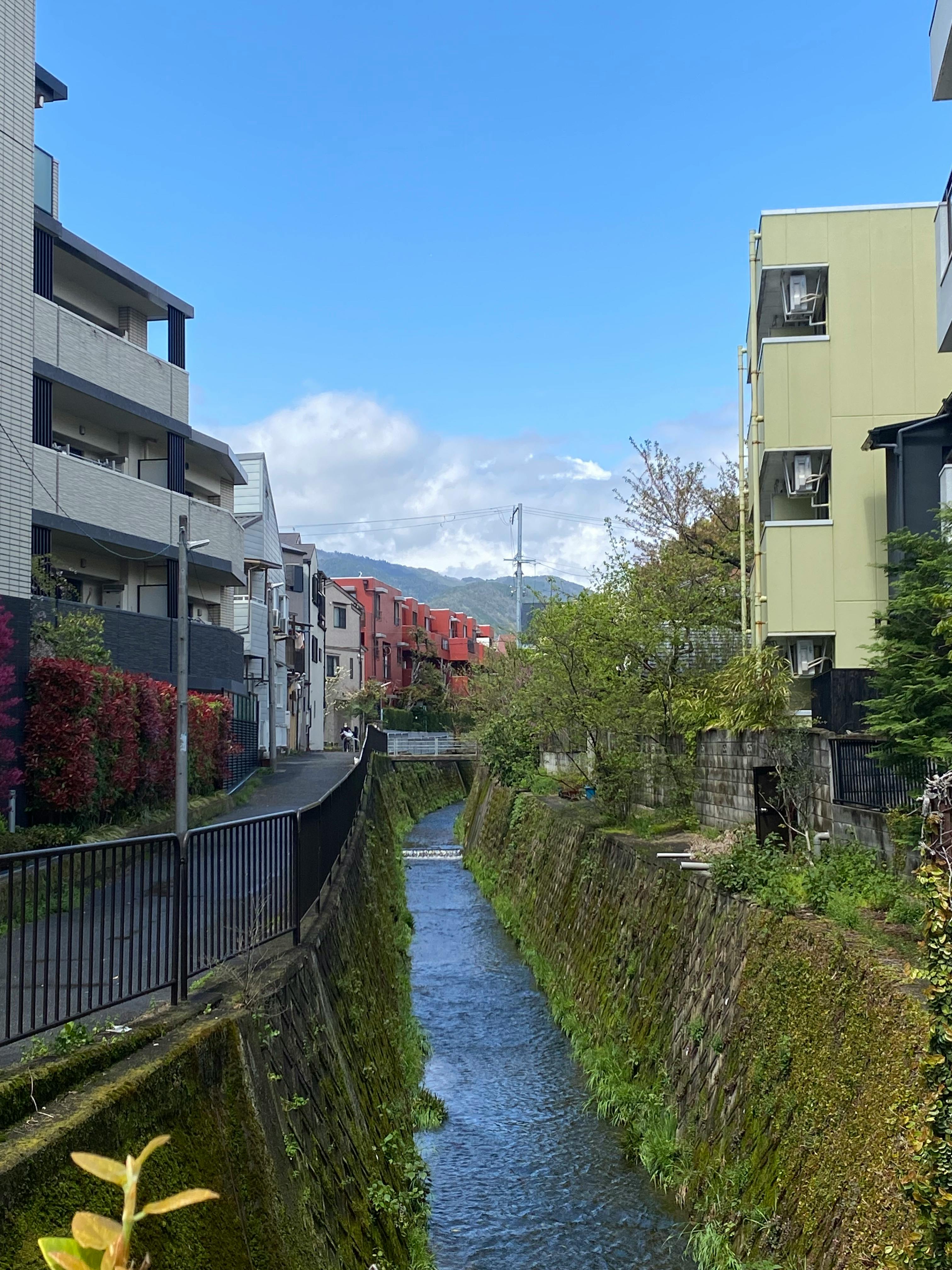 Elizabeth Gao – Fotografia