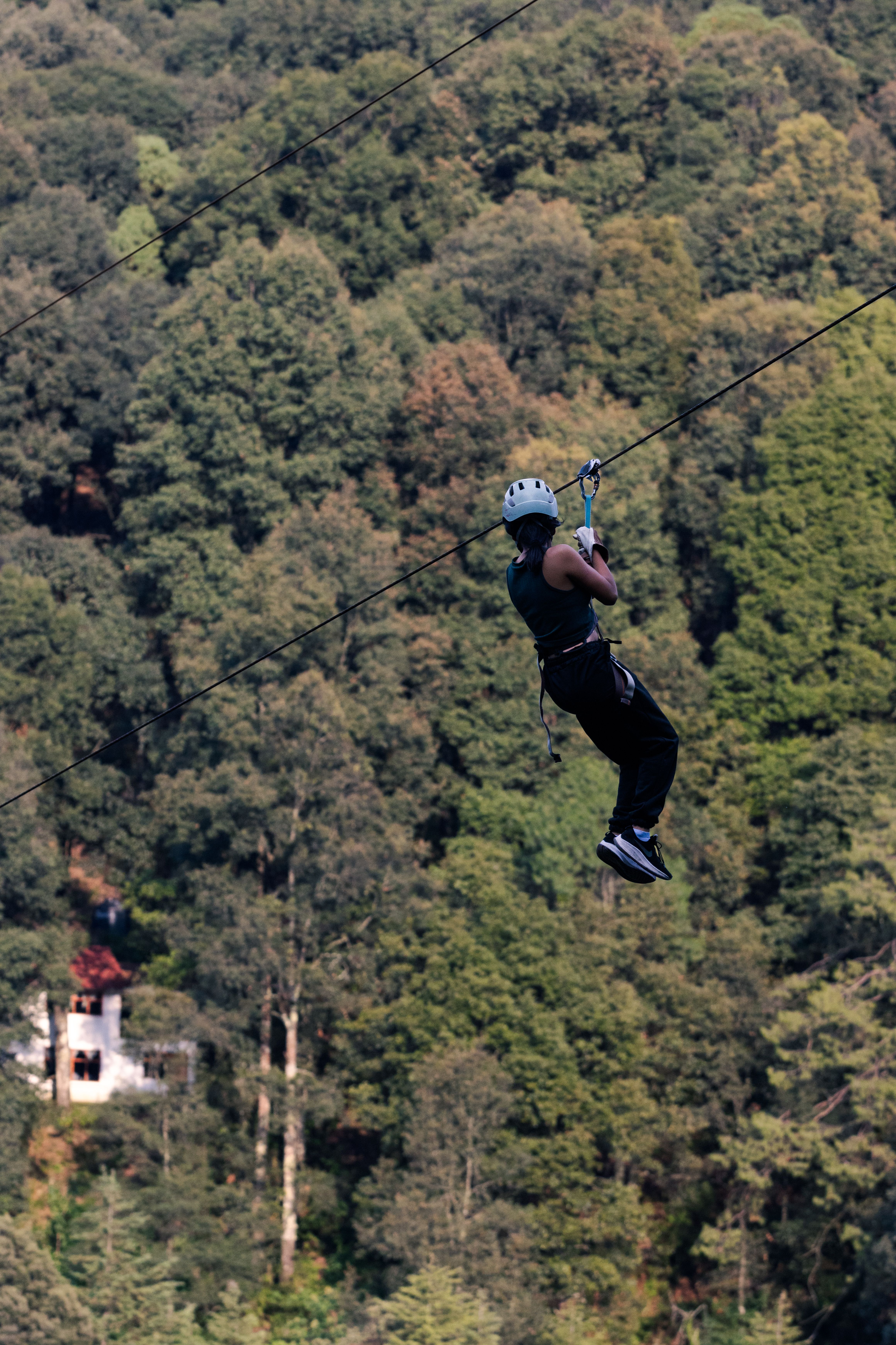 A person riding a zip line over a forest · Free Stock Photo