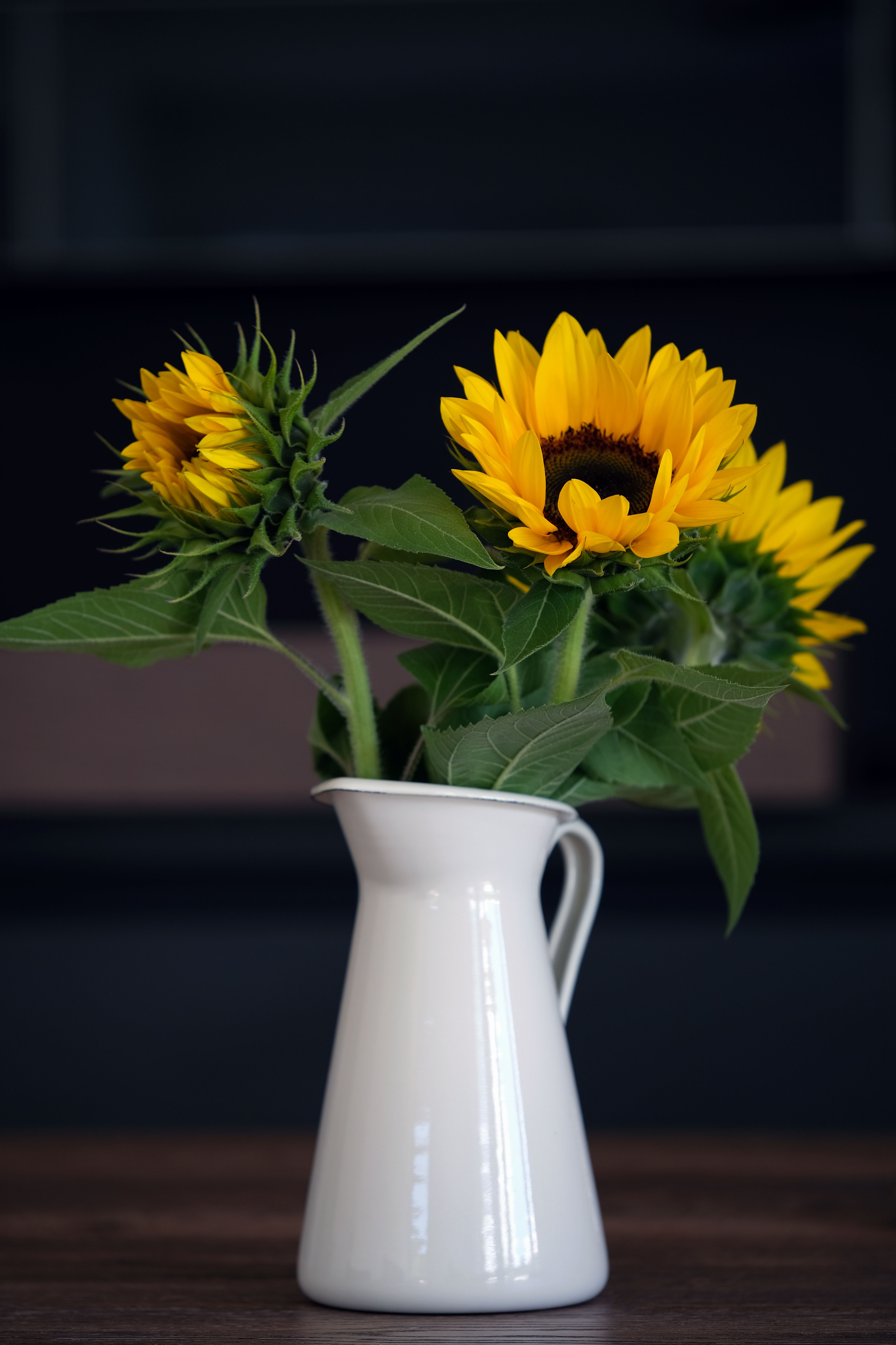 Syntymapaiva Vase Vihrea Photos, Download The BEST Free Syntymapaiva ...