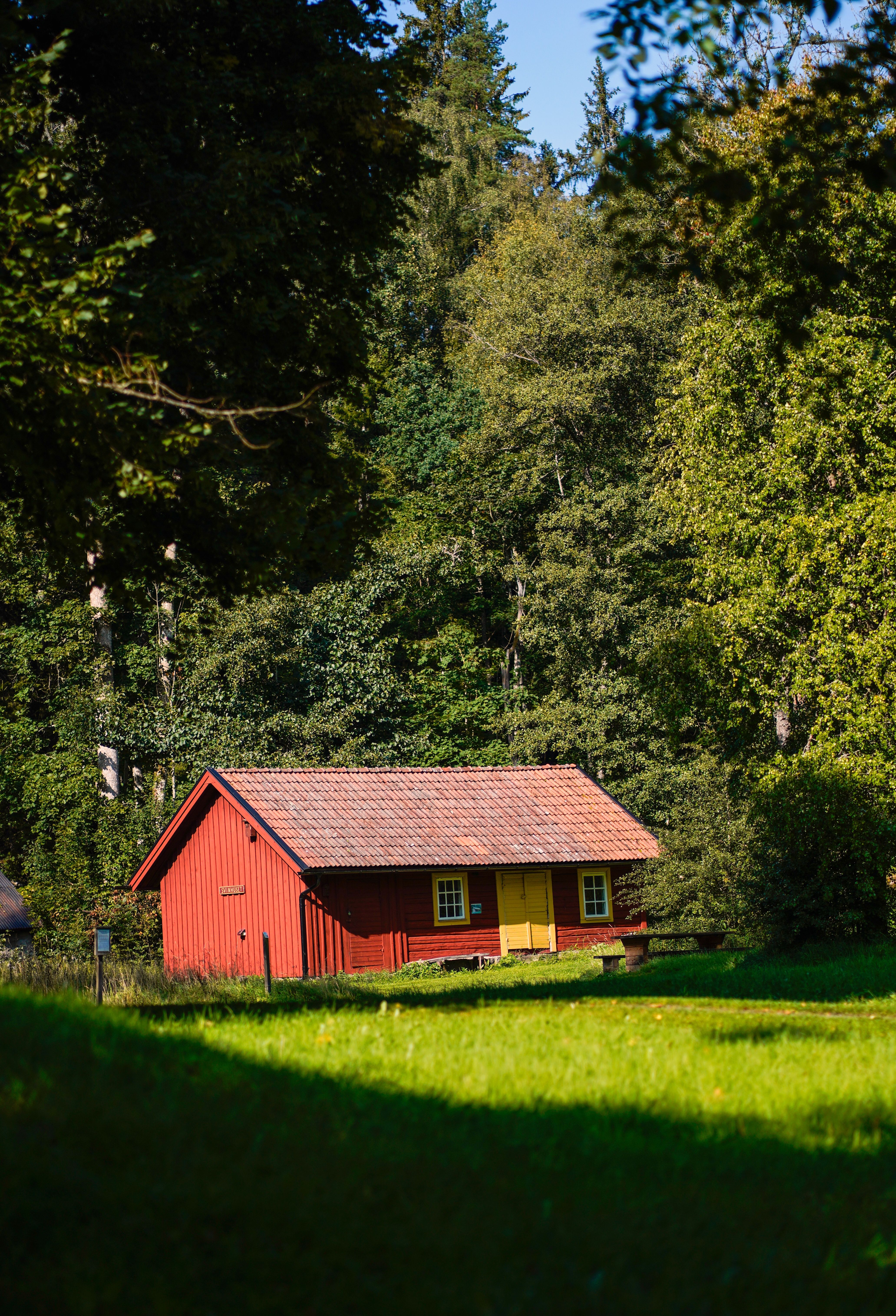 House on Grassland in Forest · Free Stock Photo