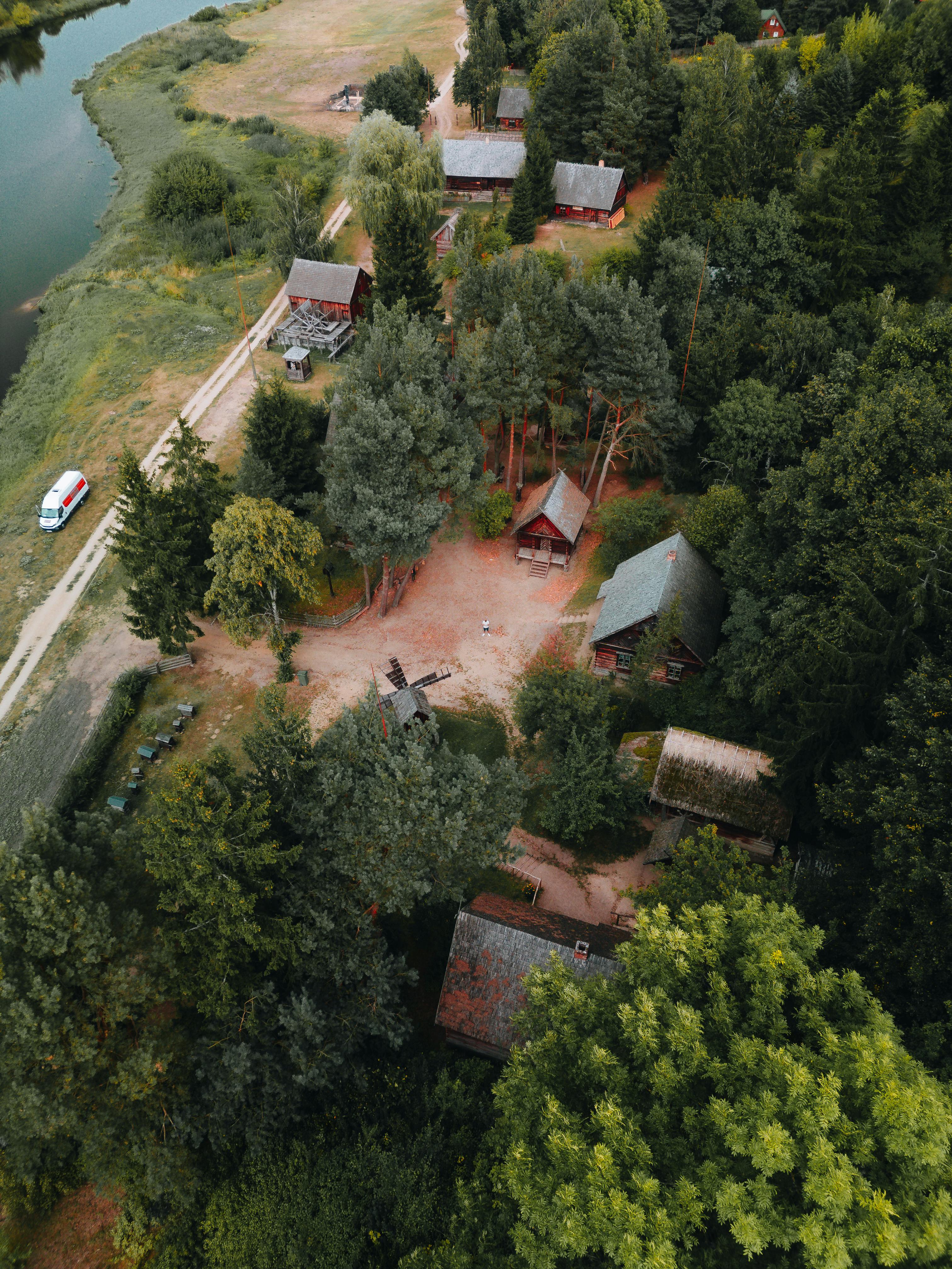 Houses in Village in Forest · Free Stock Photo