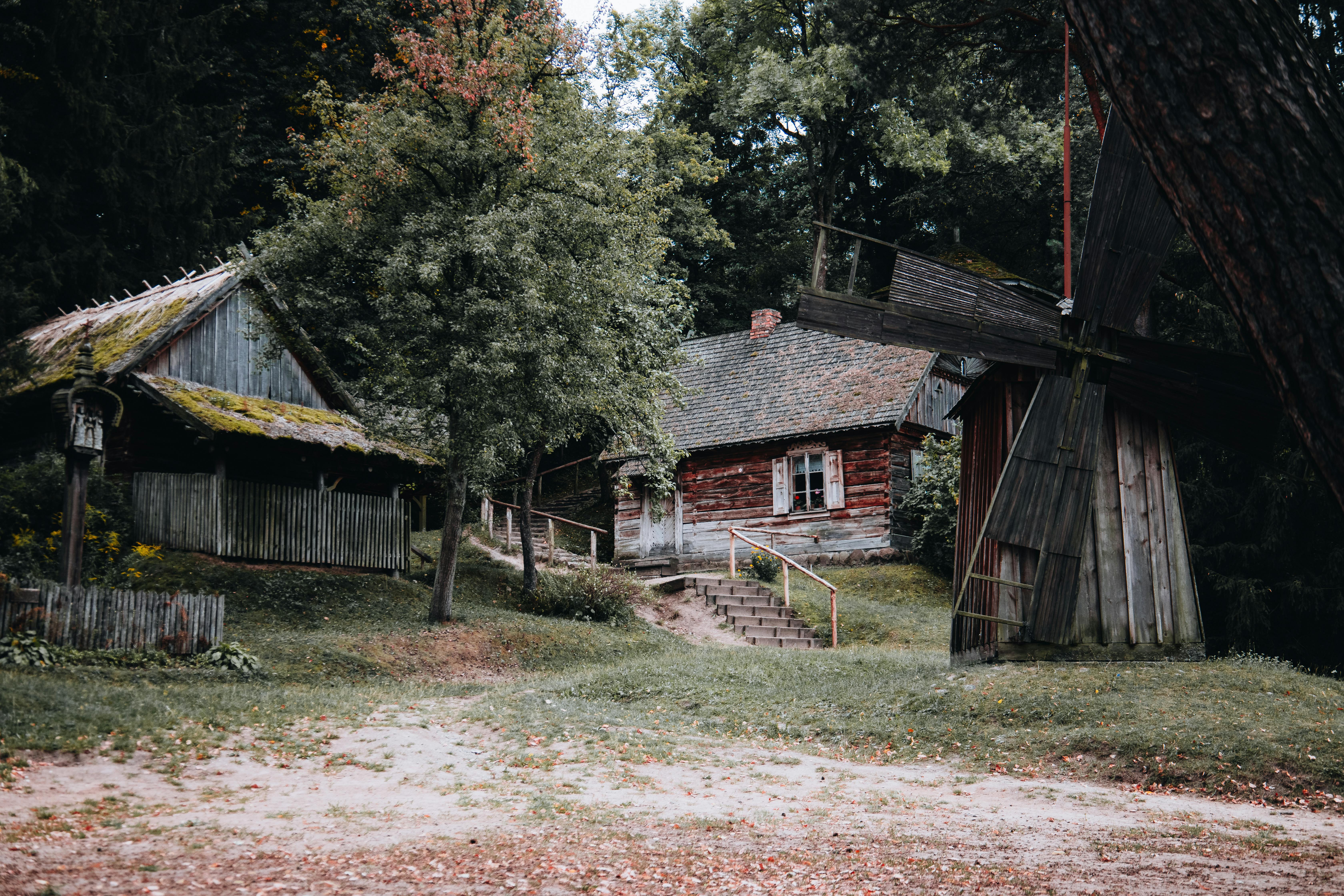 Wooden Structure in Park · Free Stock Photo