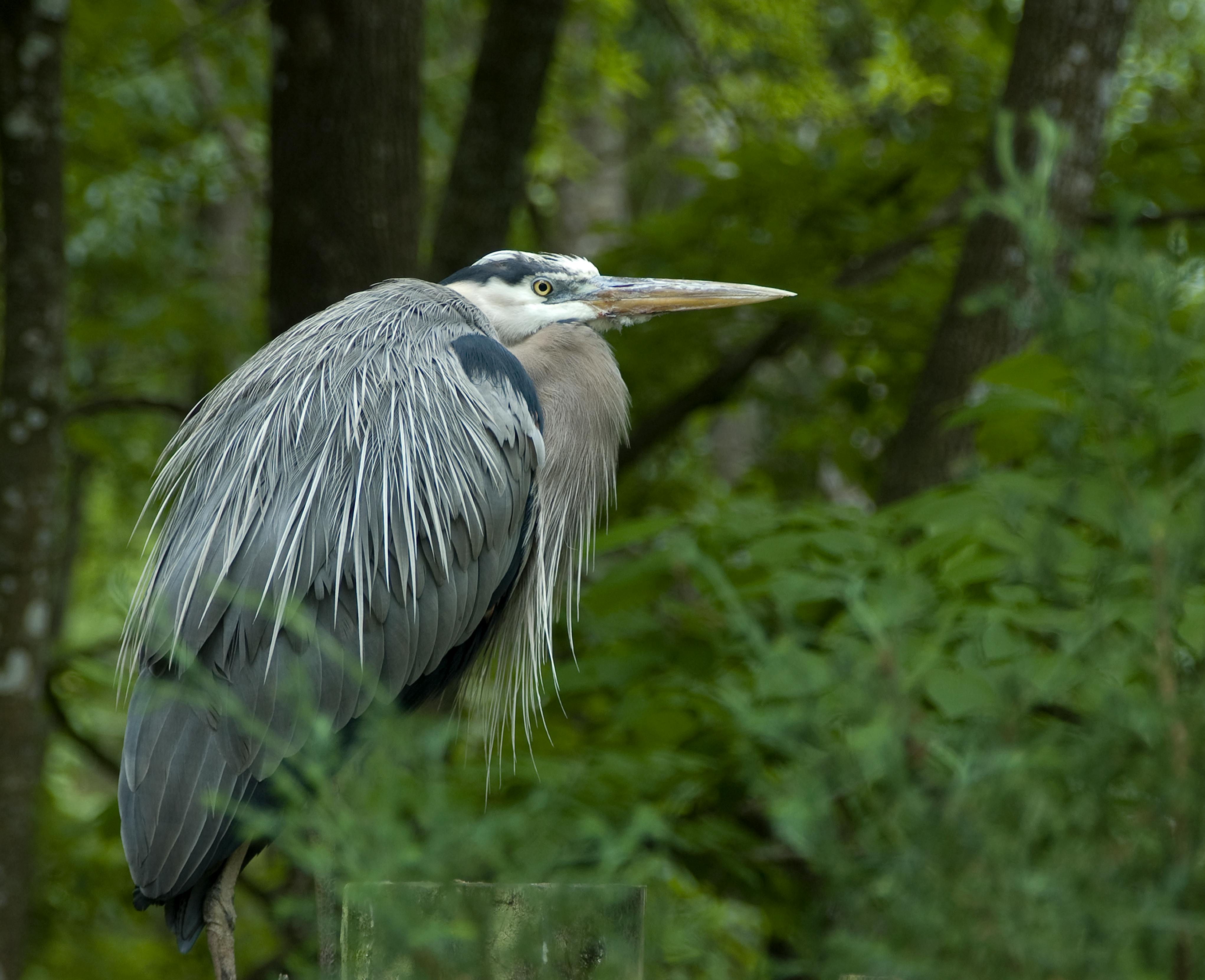 Amanda Martin - Photography