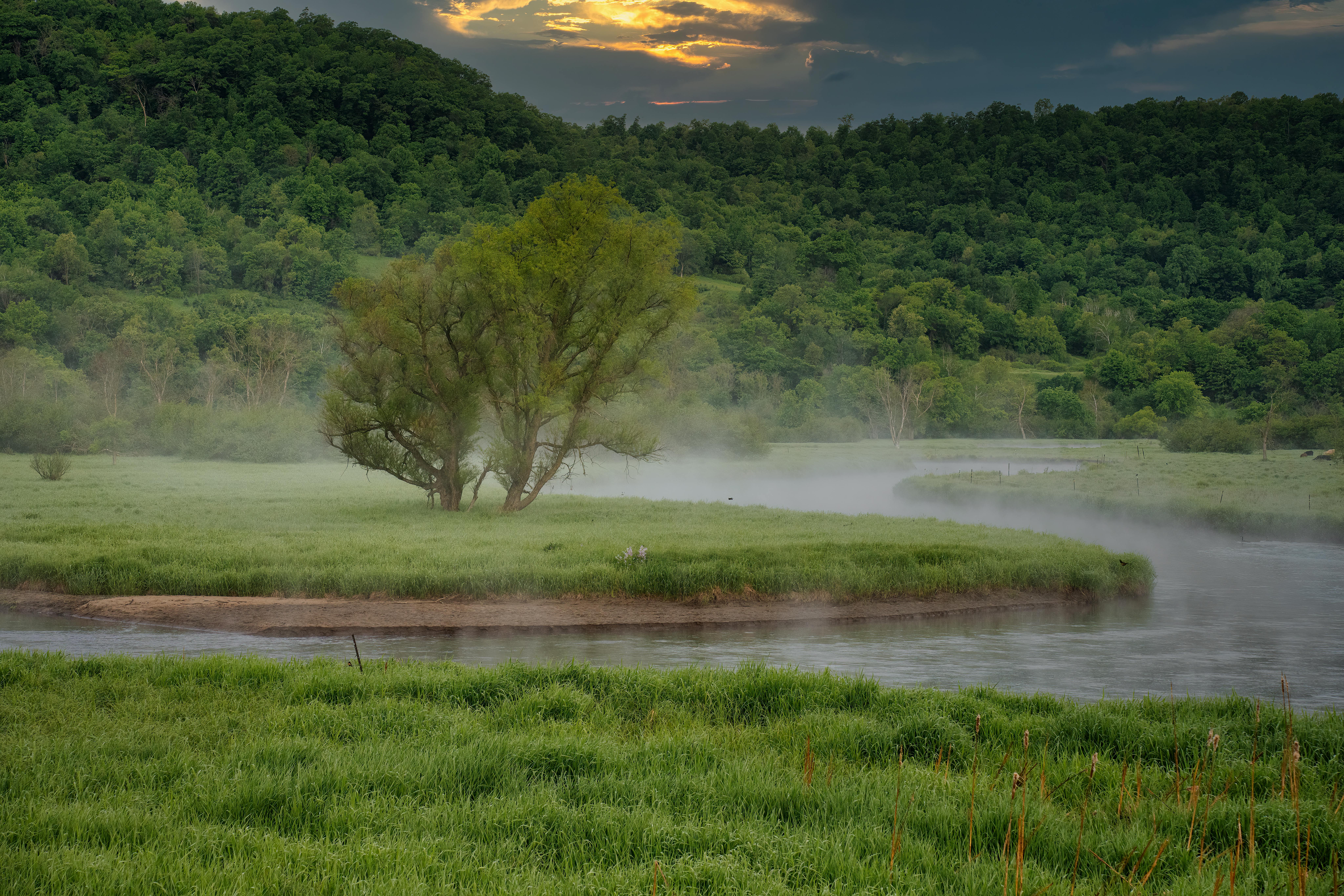 Steaming River after Rain · Free Stock Photo