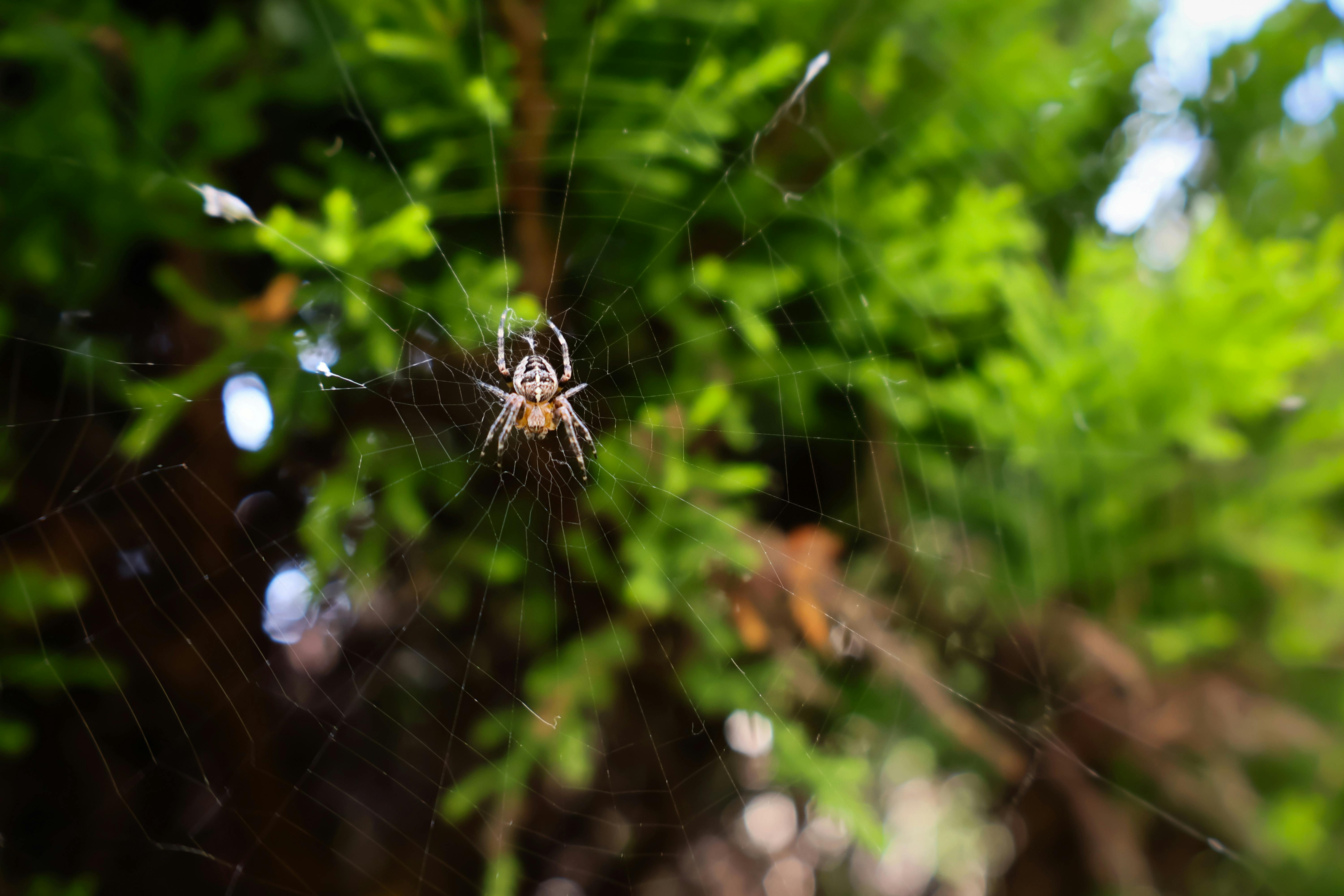 David Rodrigues – Fotografia