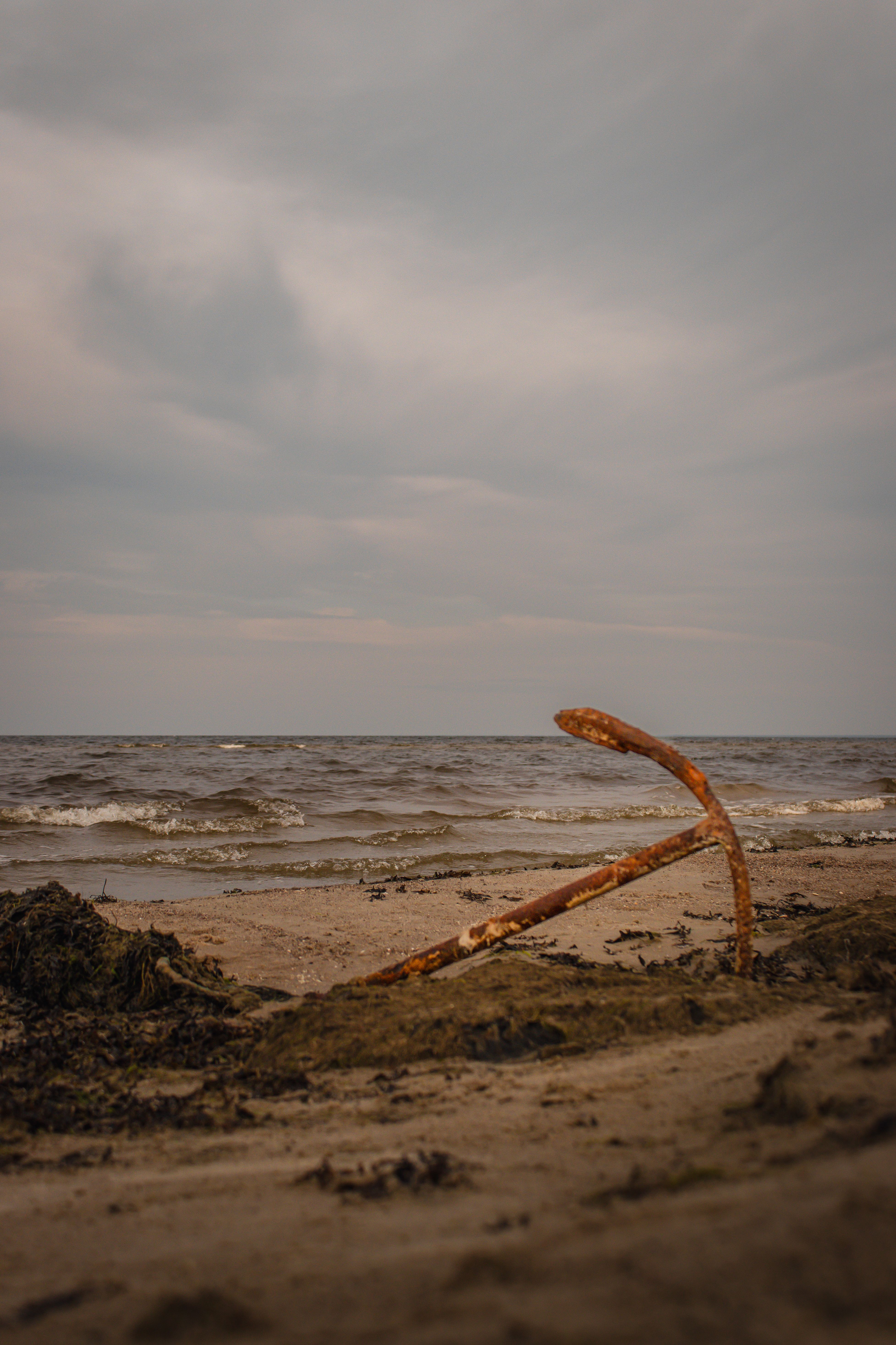 Anchor on Beach · Free Stock Photo