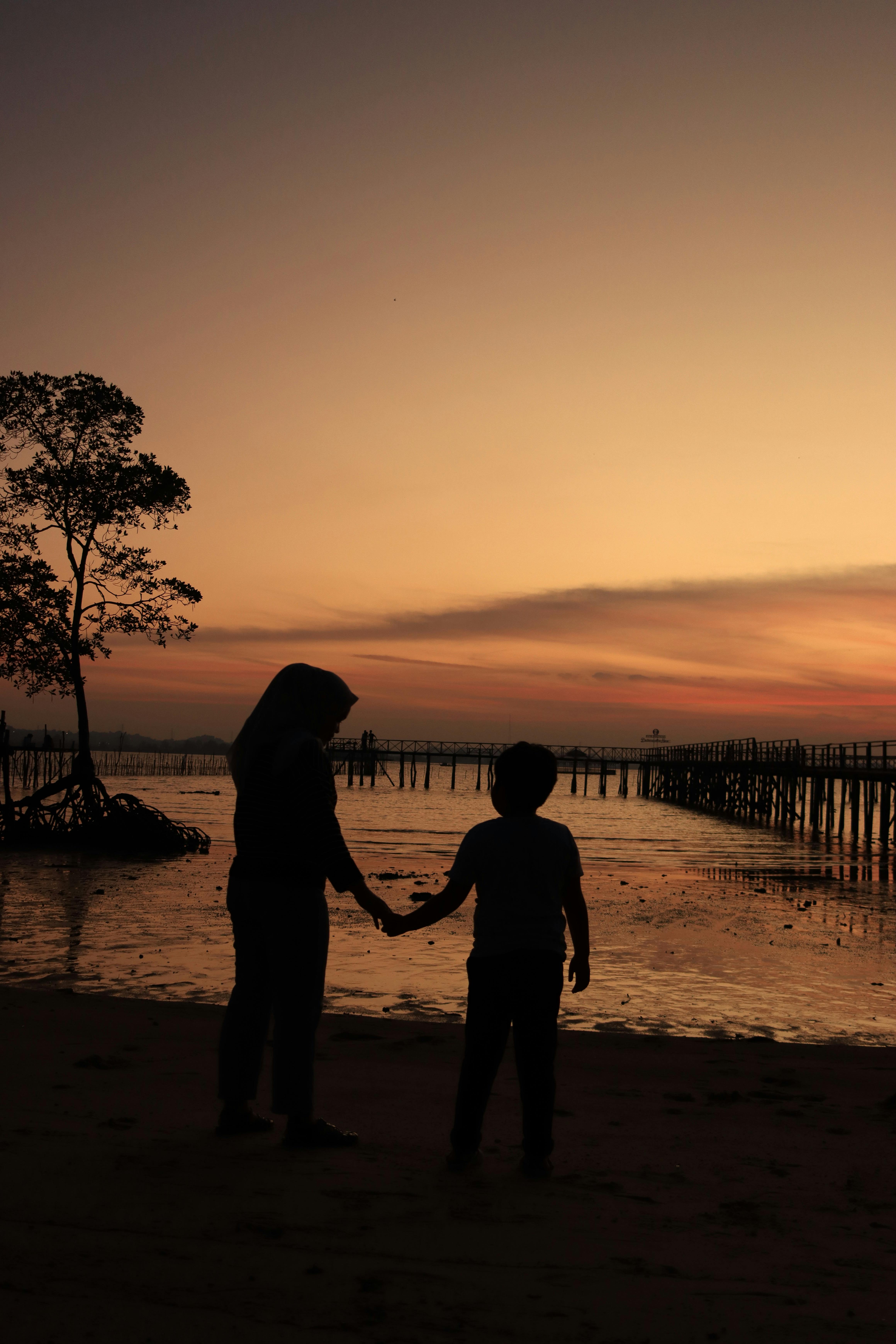 Son C3 A1ri Photos, Download The BEST Free Son C3 A1ri Stock Photos ...