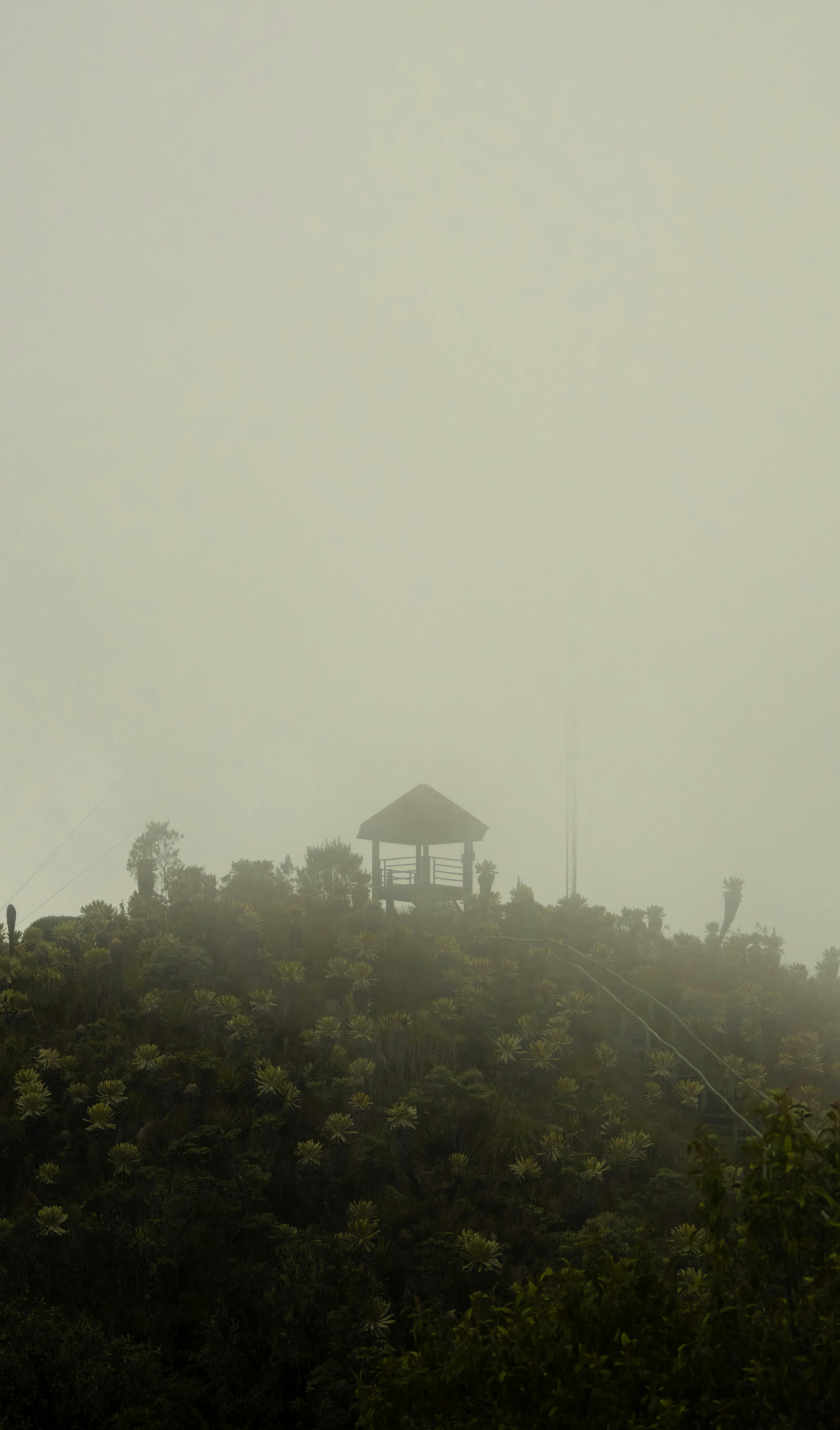 Franklin Cabrera - Fotografía