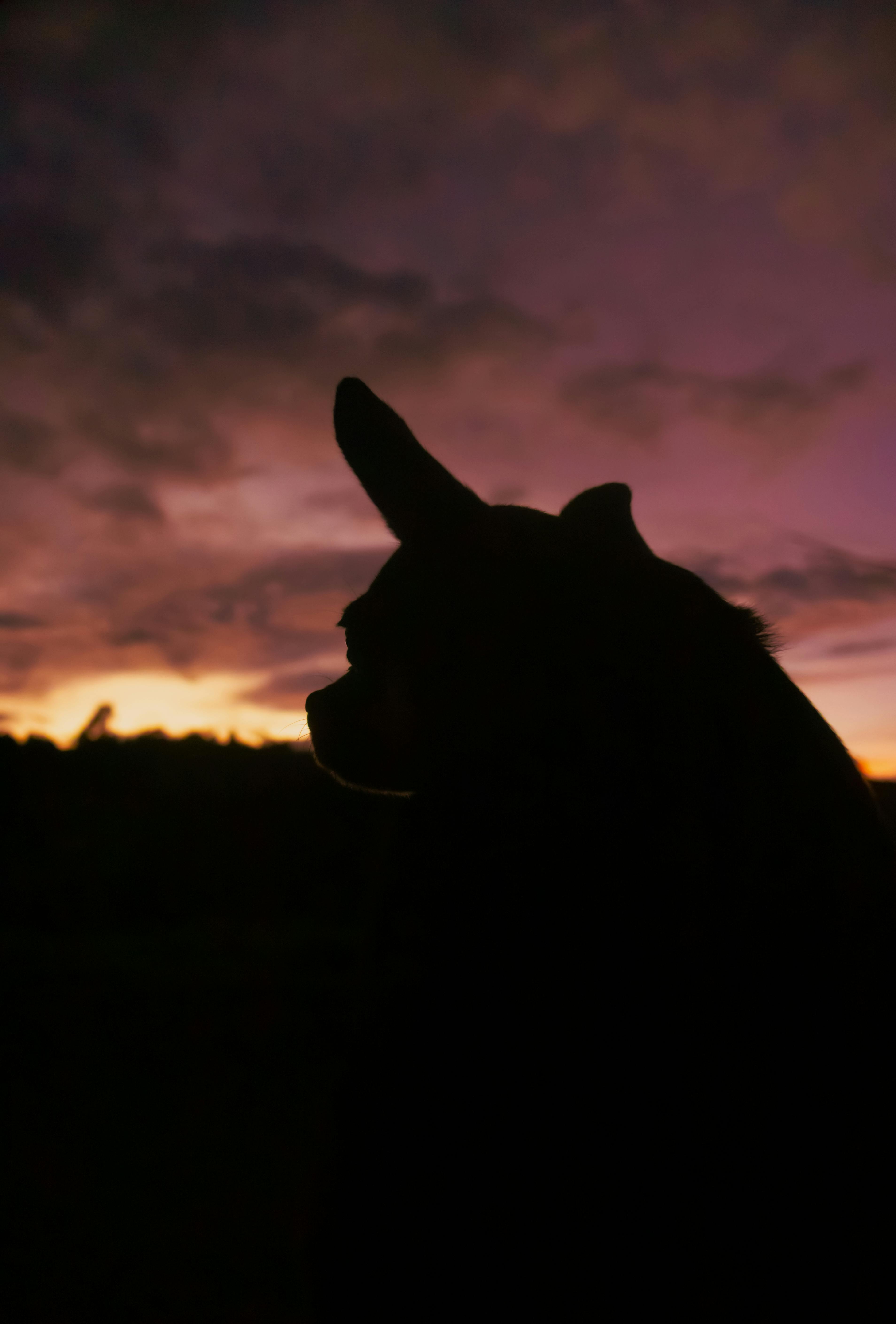 Franklin Cabrera - Fotografía