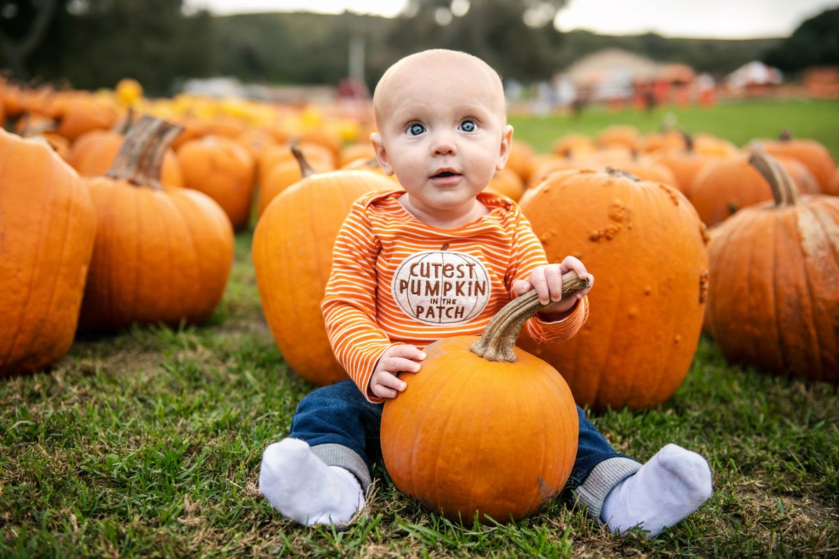 Pumpkin Patch Kids Photos, Download The BEST Free Pumpkin Patch Kids ...