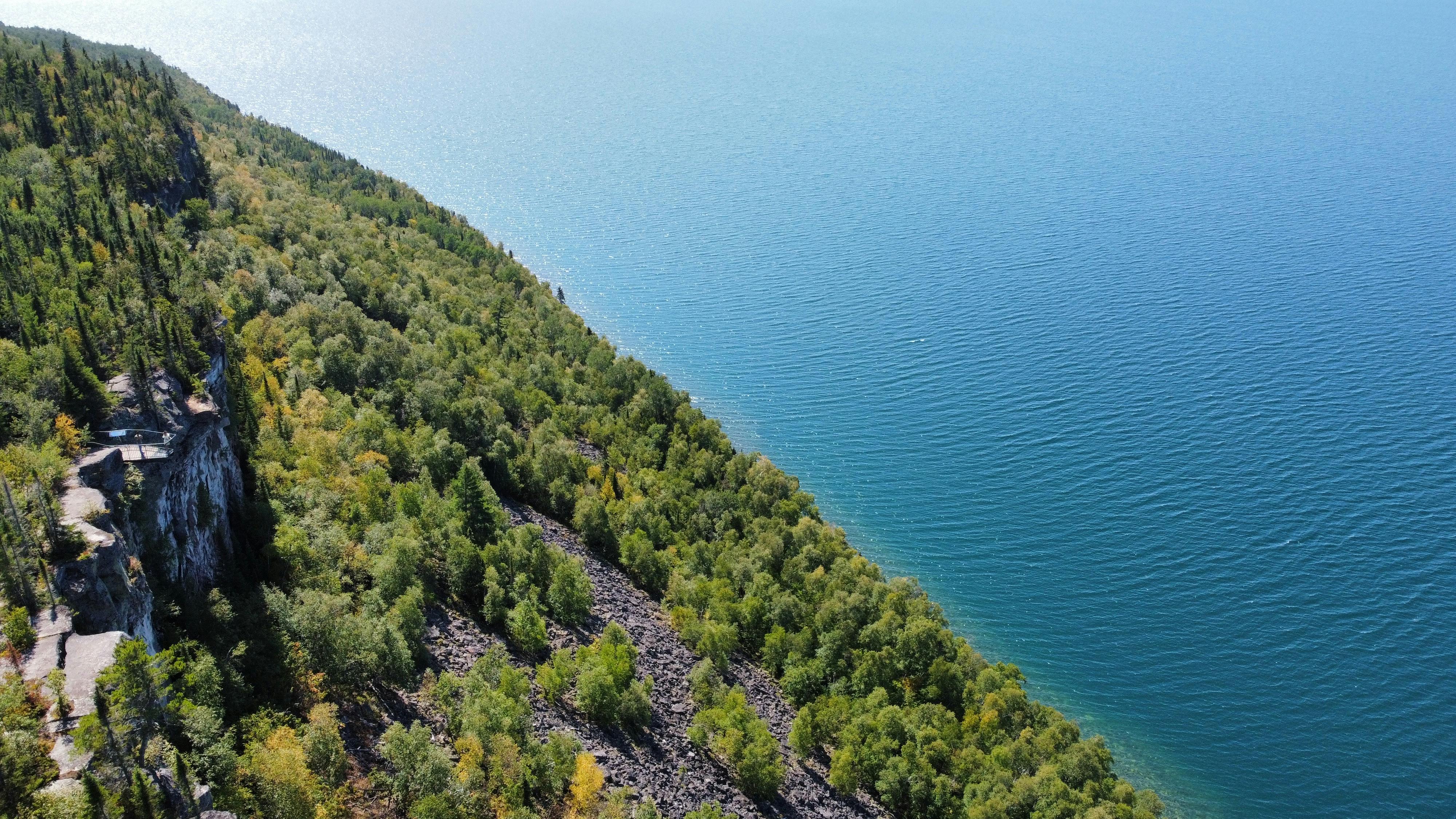 High Angle View of Sea and Forest on the Hill · Free Stock Photo