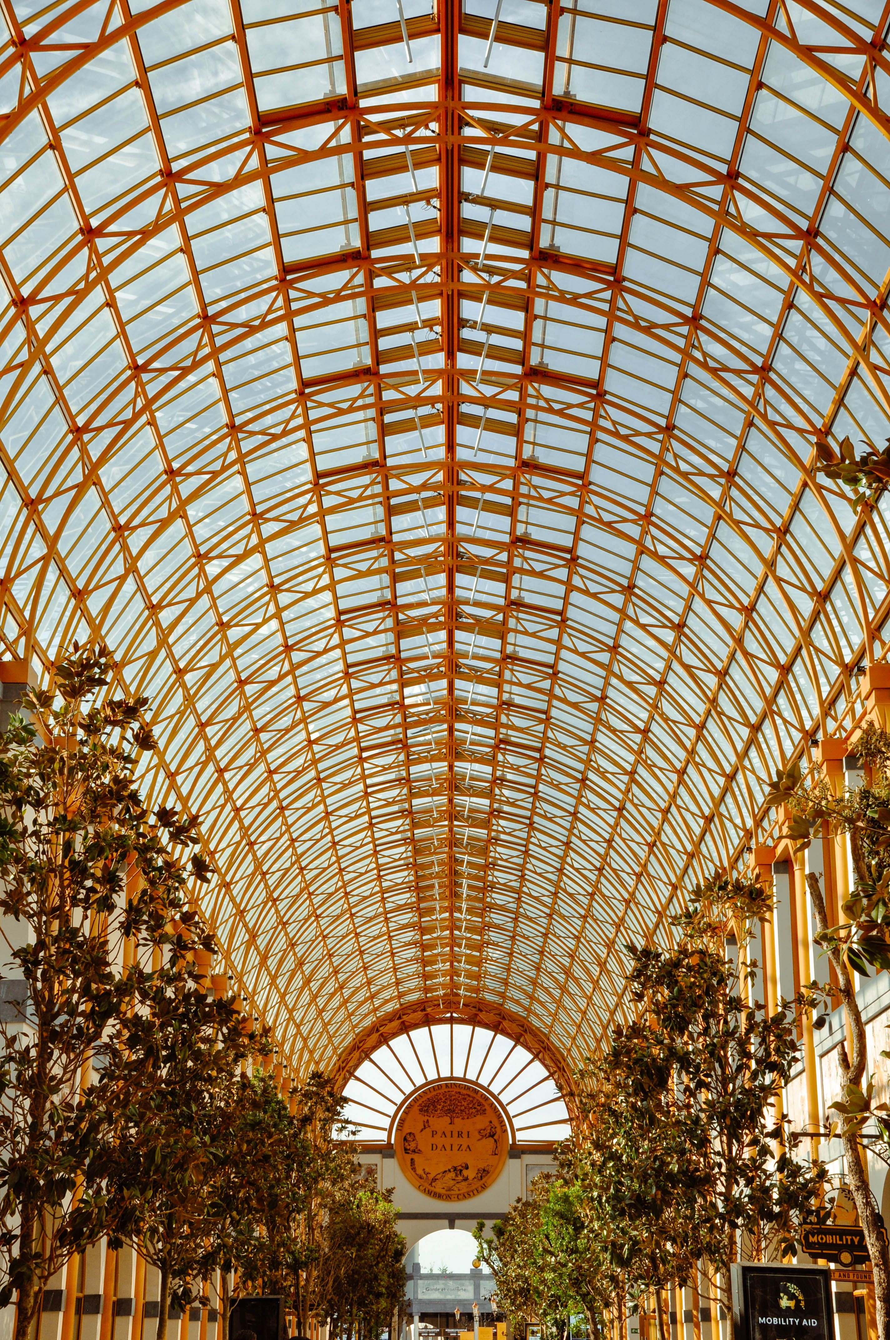 Trees and Glass Ceiling in Building · Free Stock Photo