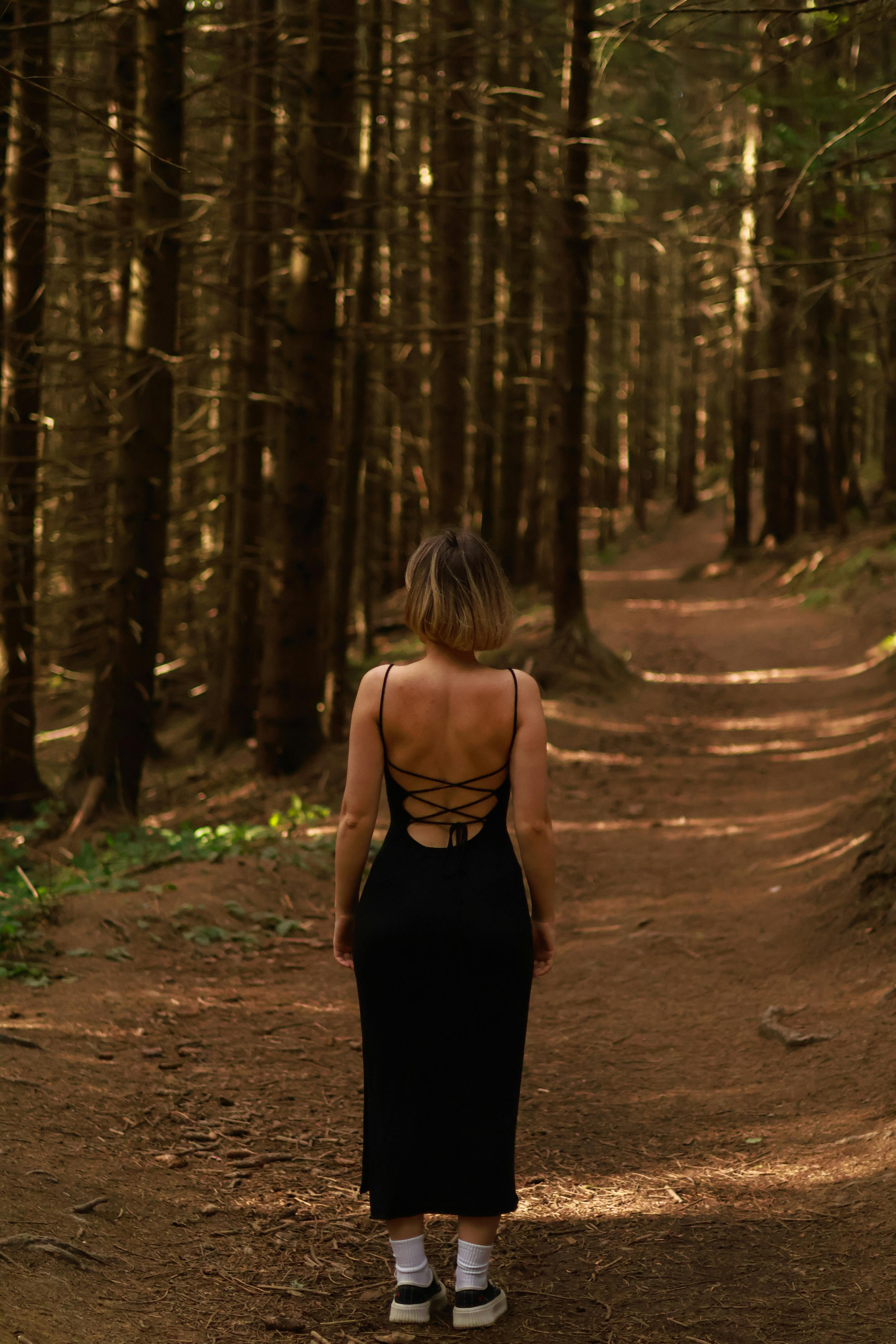 Forest Treeline Photos, Download The BEST Free Forest Treeline Stock ...