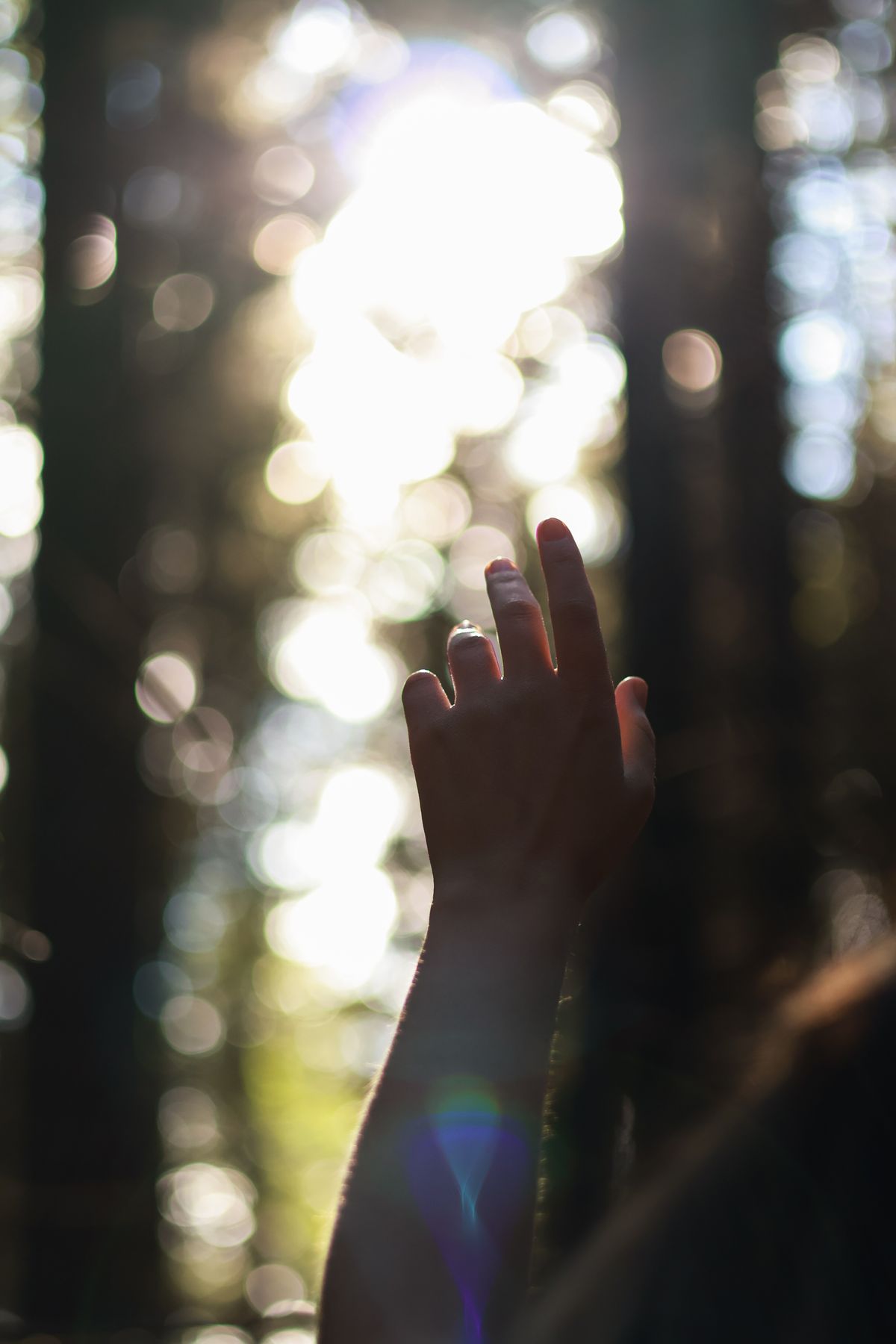 Raised Hand Photos, Download The BEST Free Raised Hand Stock Photos ...