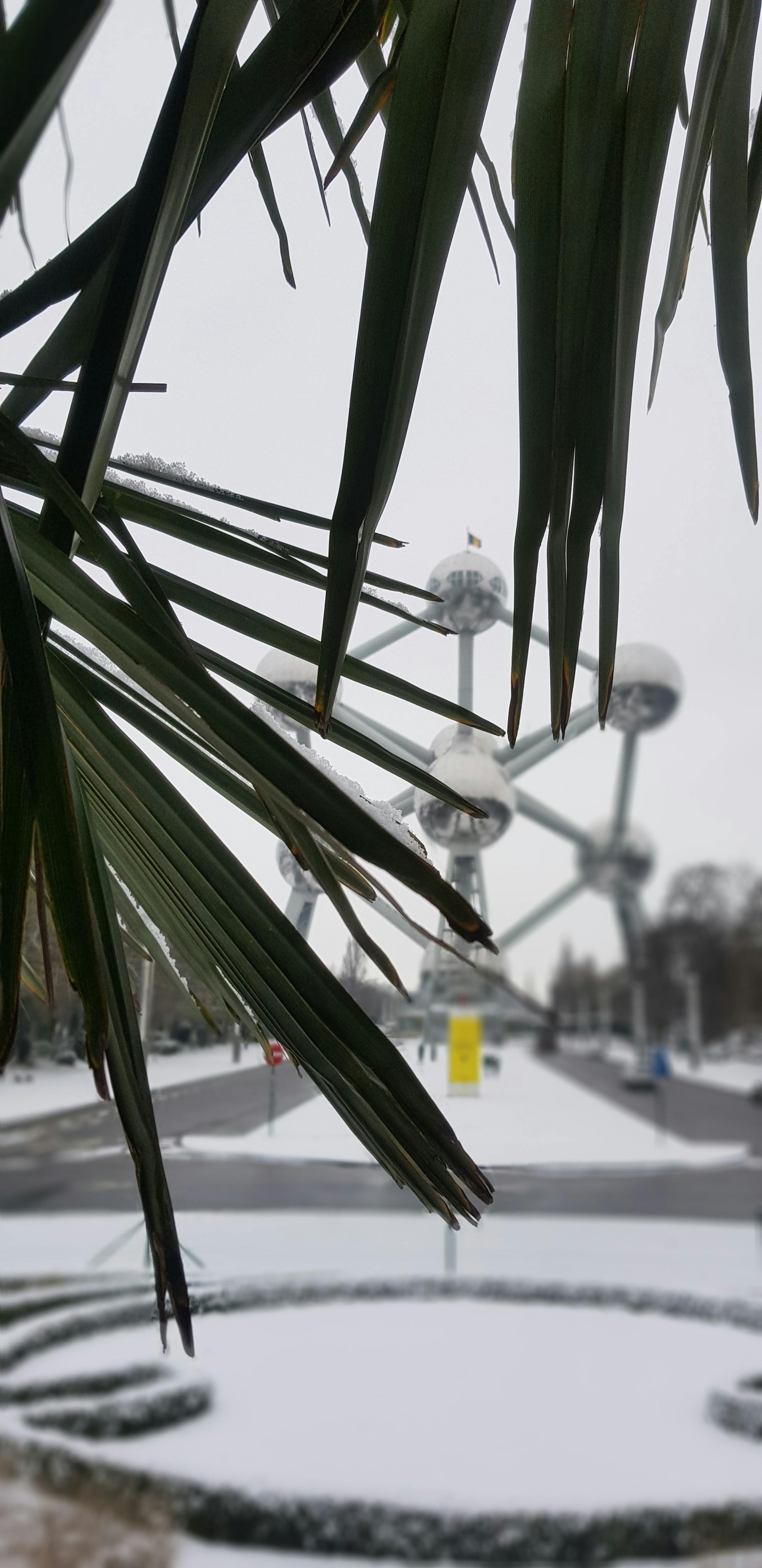 Nabil Ben Amor - Fotografie