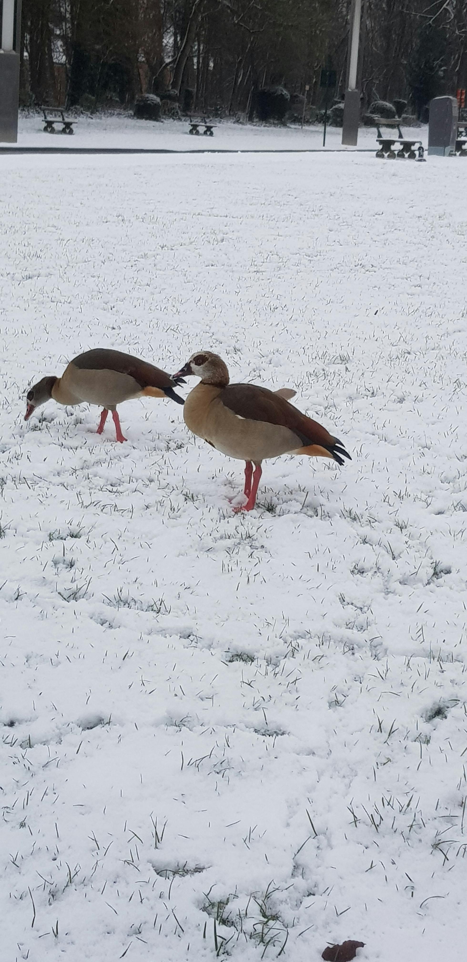Nabil Ben Amor - Fotografie
