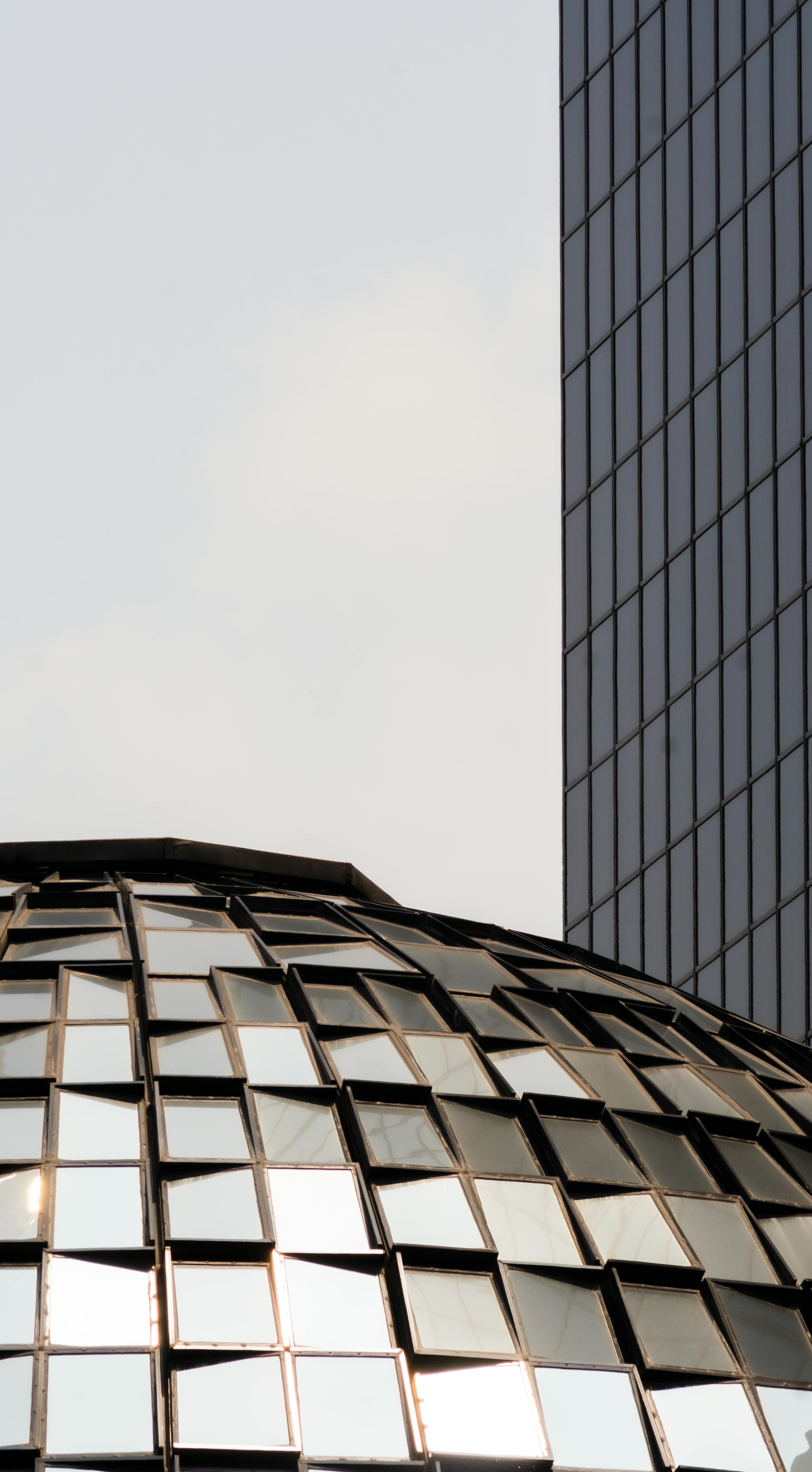 Windows of Building Dome · Free Stock Photo