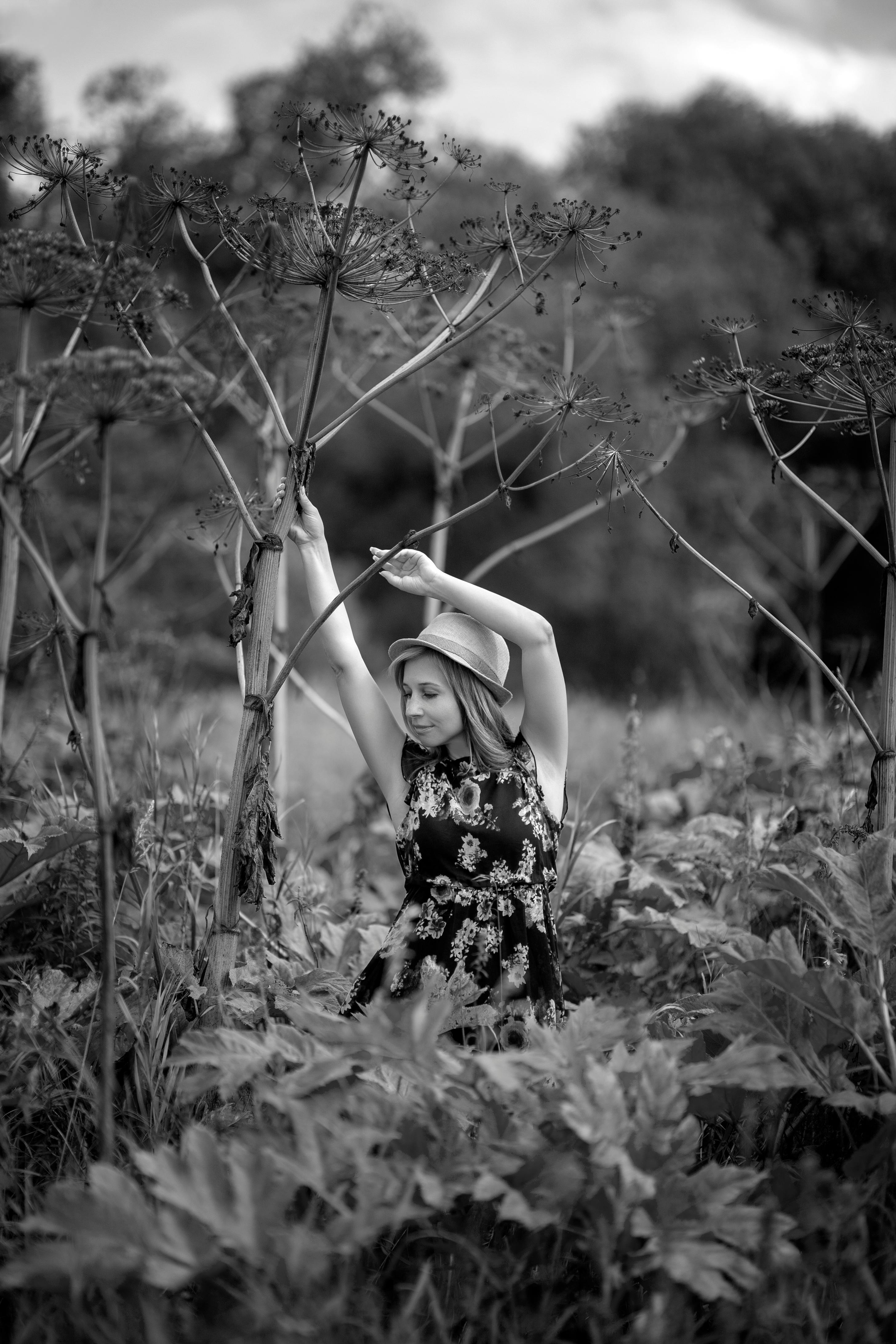 Varand Plants Photos, Download The BEST Free Varand Plants Stock Photos ...