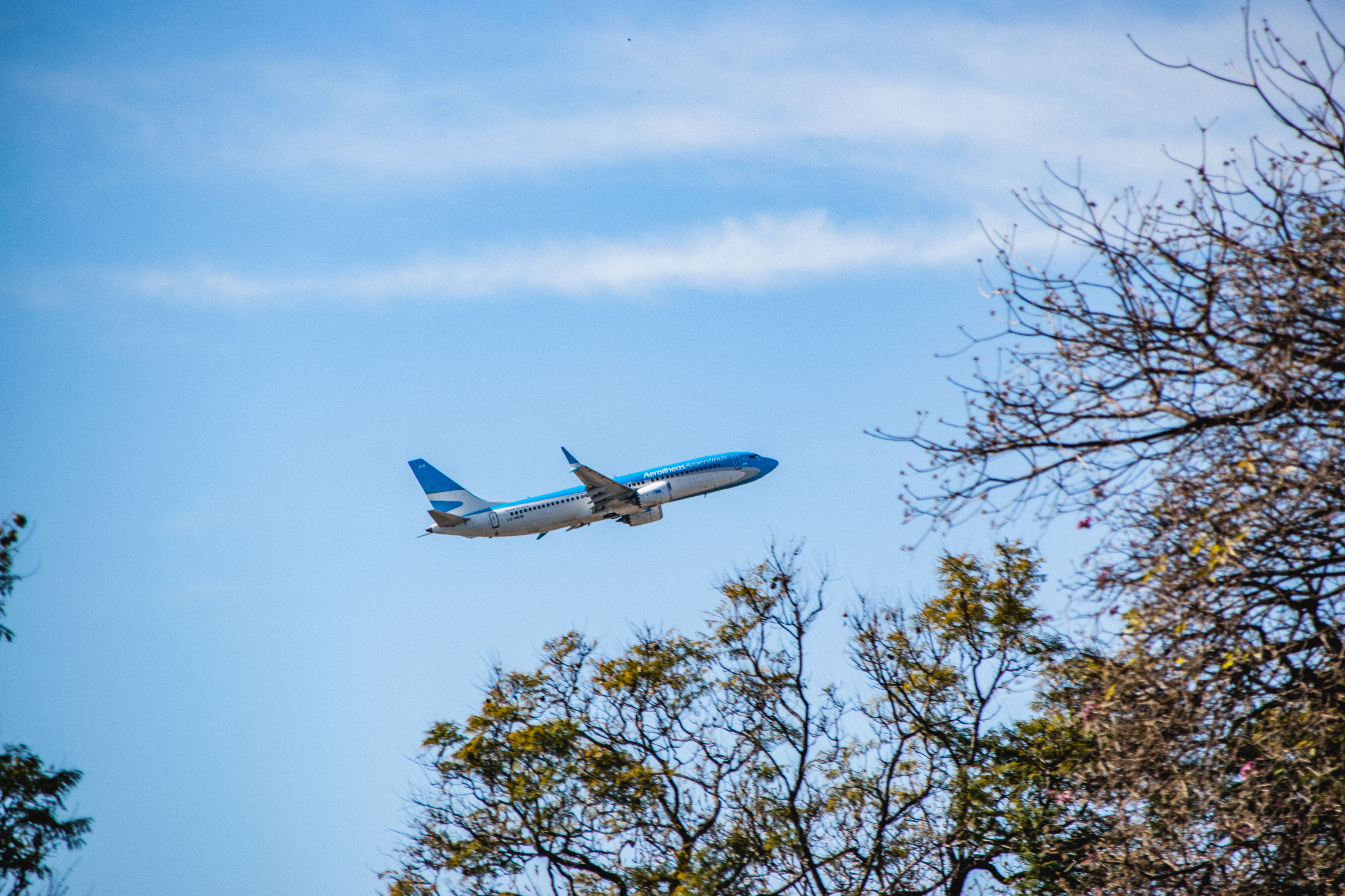 Airplane Flying behind Trees · Free Stock Photo